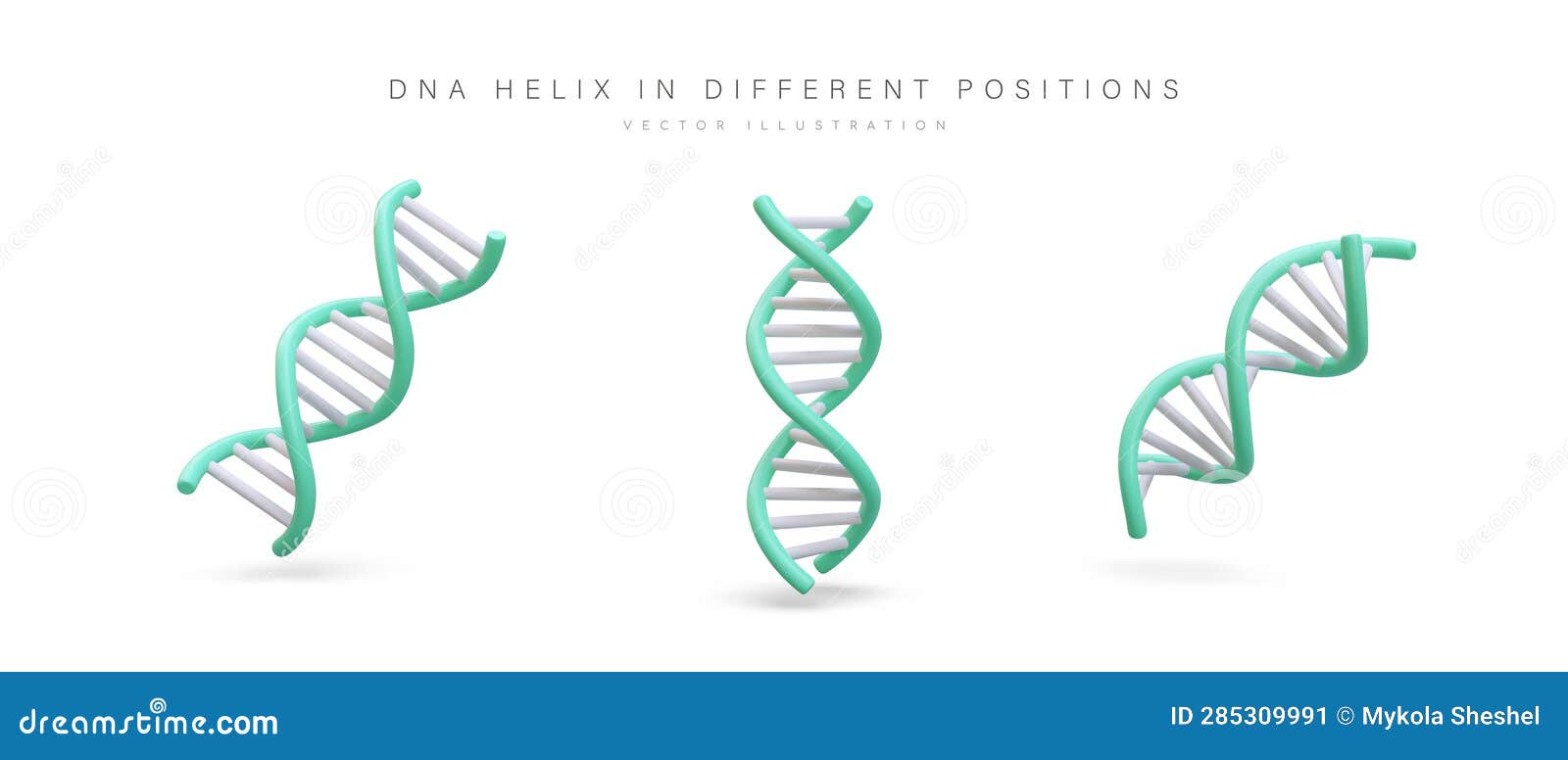 DNA Double Helix in Different Positions. Part of Human Genetic Code ...