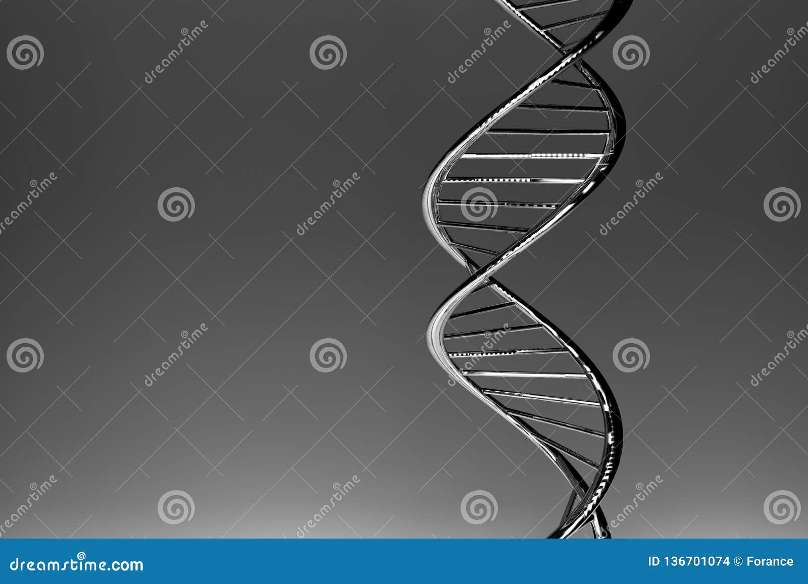 DNA Double Helix, Grey Glossy Material, Dark Gradient Background Stock ...