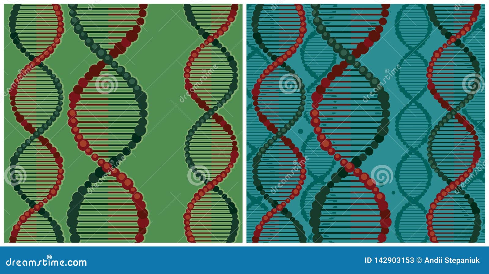 DNA Double Helix Illustrations Stock Vector - Illustration of cytosine ...