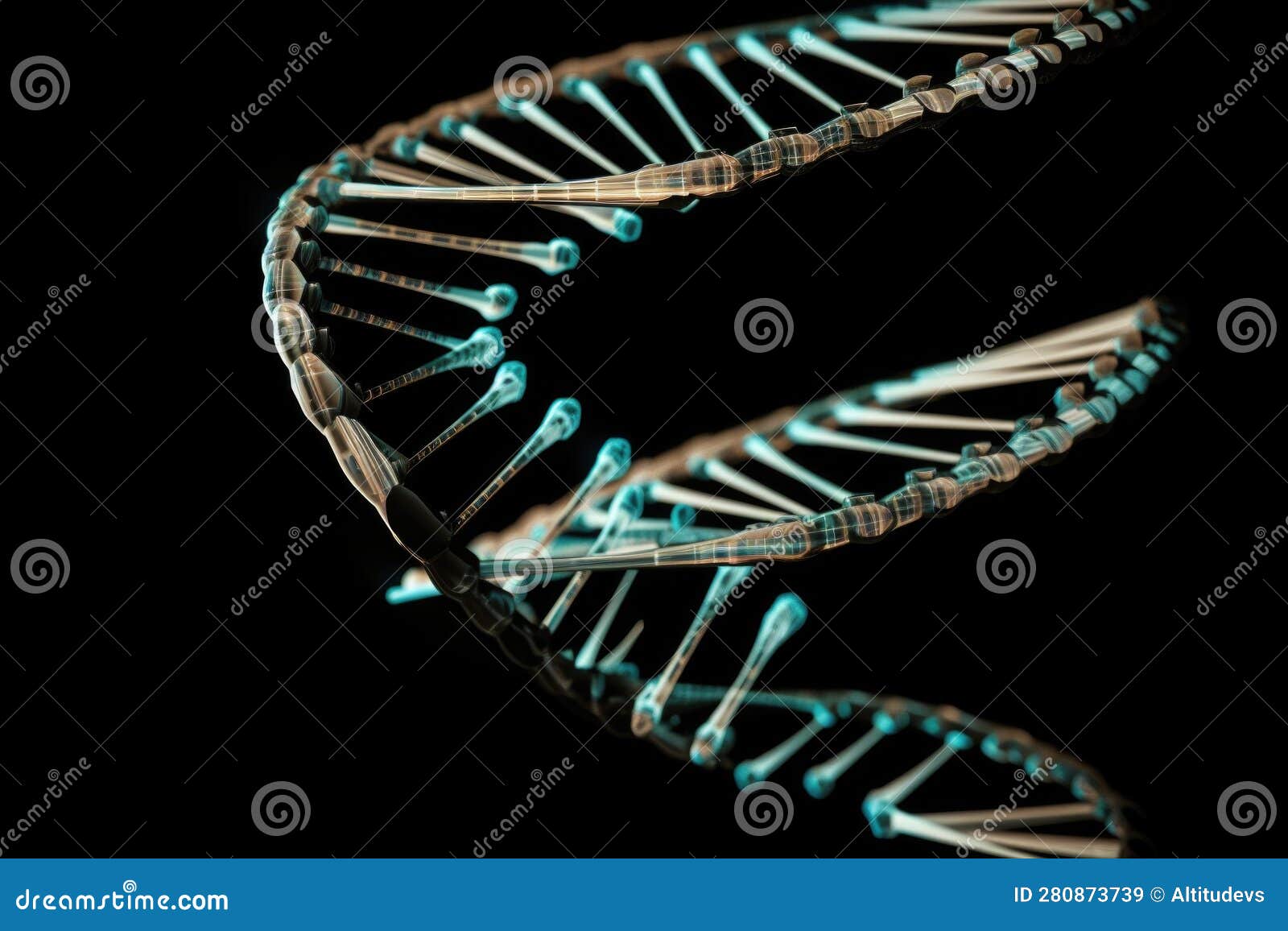 Dna Double Helix, with Its Complementary Base Pairs Visible, Forming ...