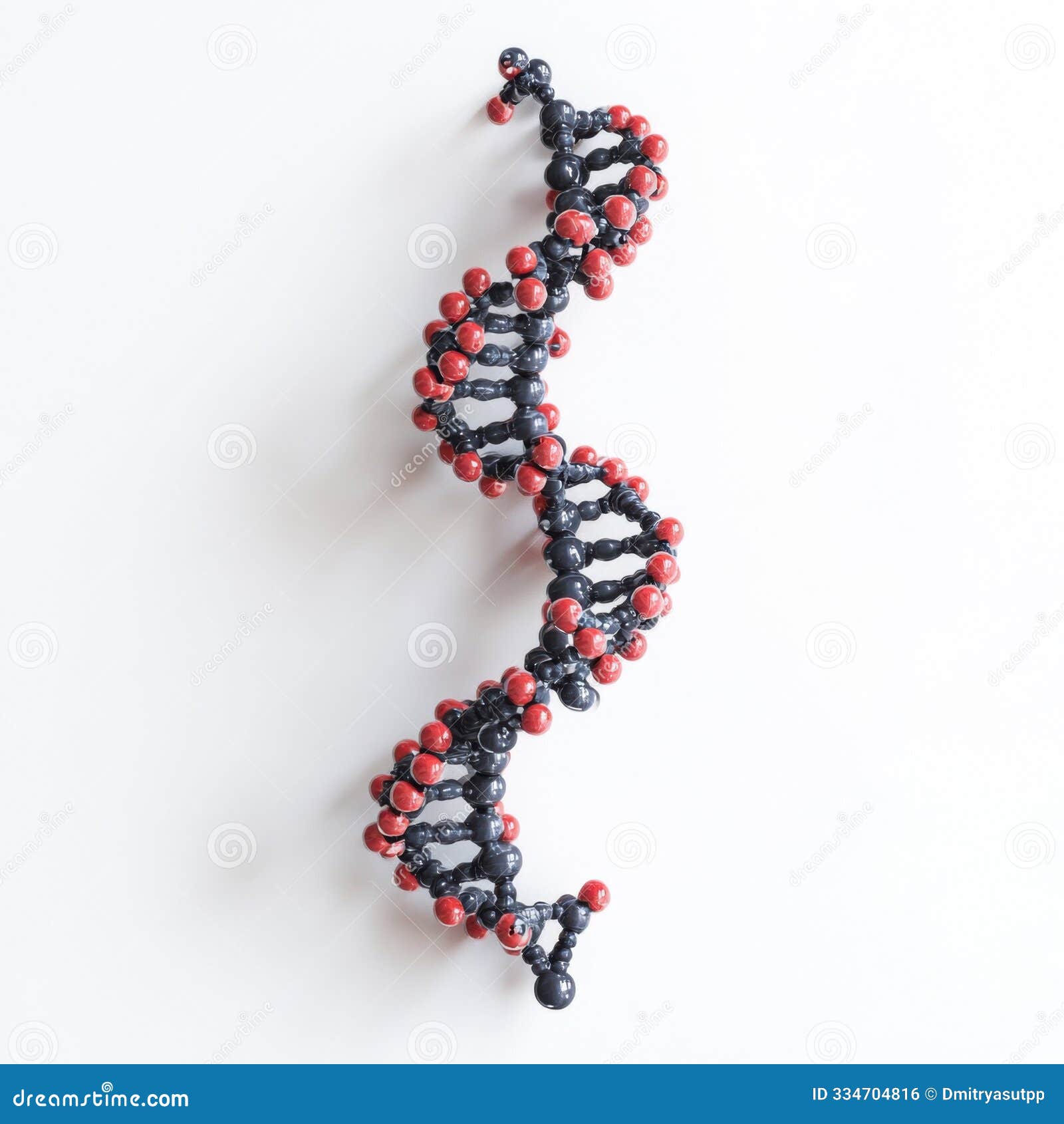 Dna Double Helix Model with Black and Red Atoms on Light Background ...