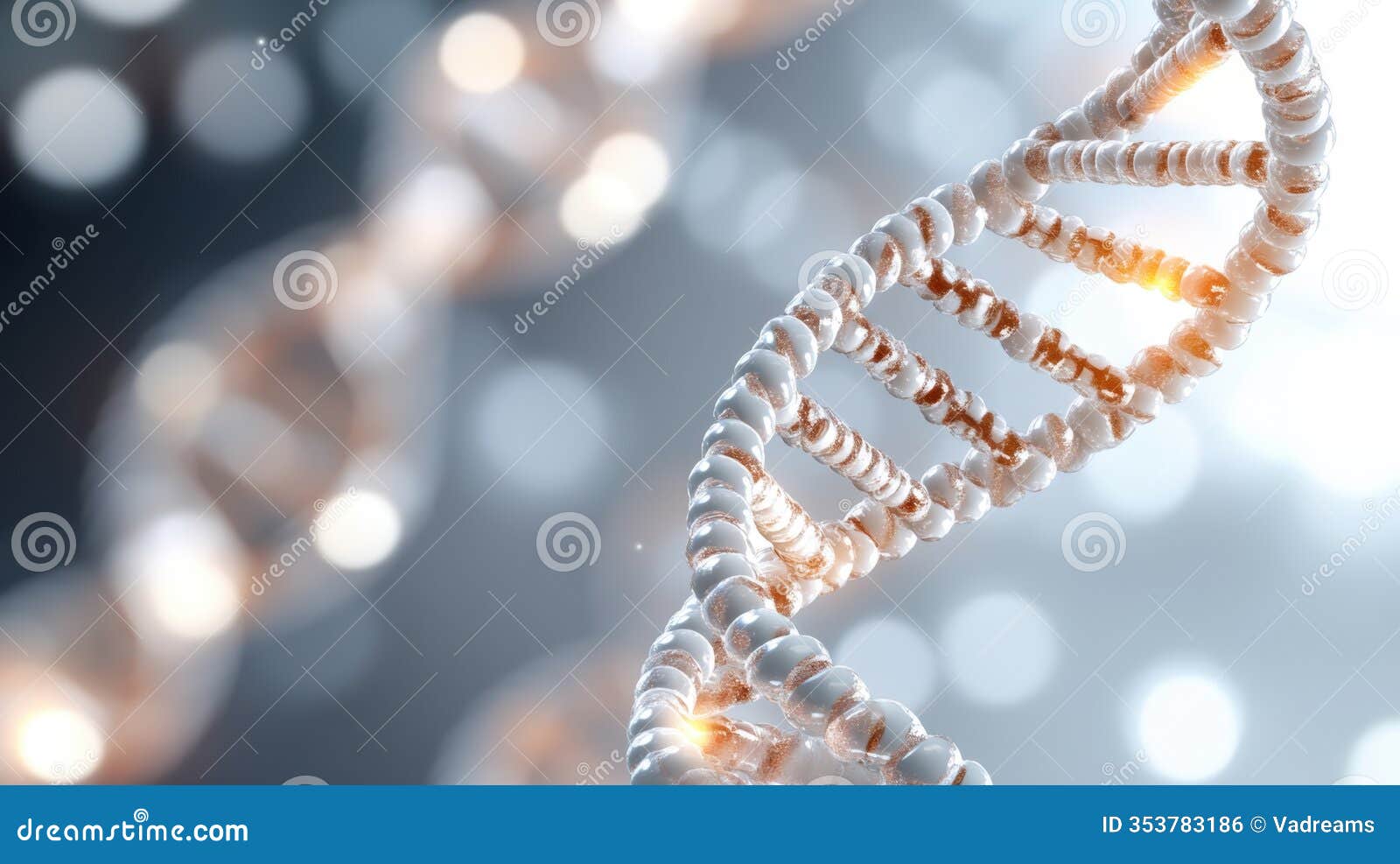 DNA Double Helix Molecule Rotating on Navy Blue Background. Science ...