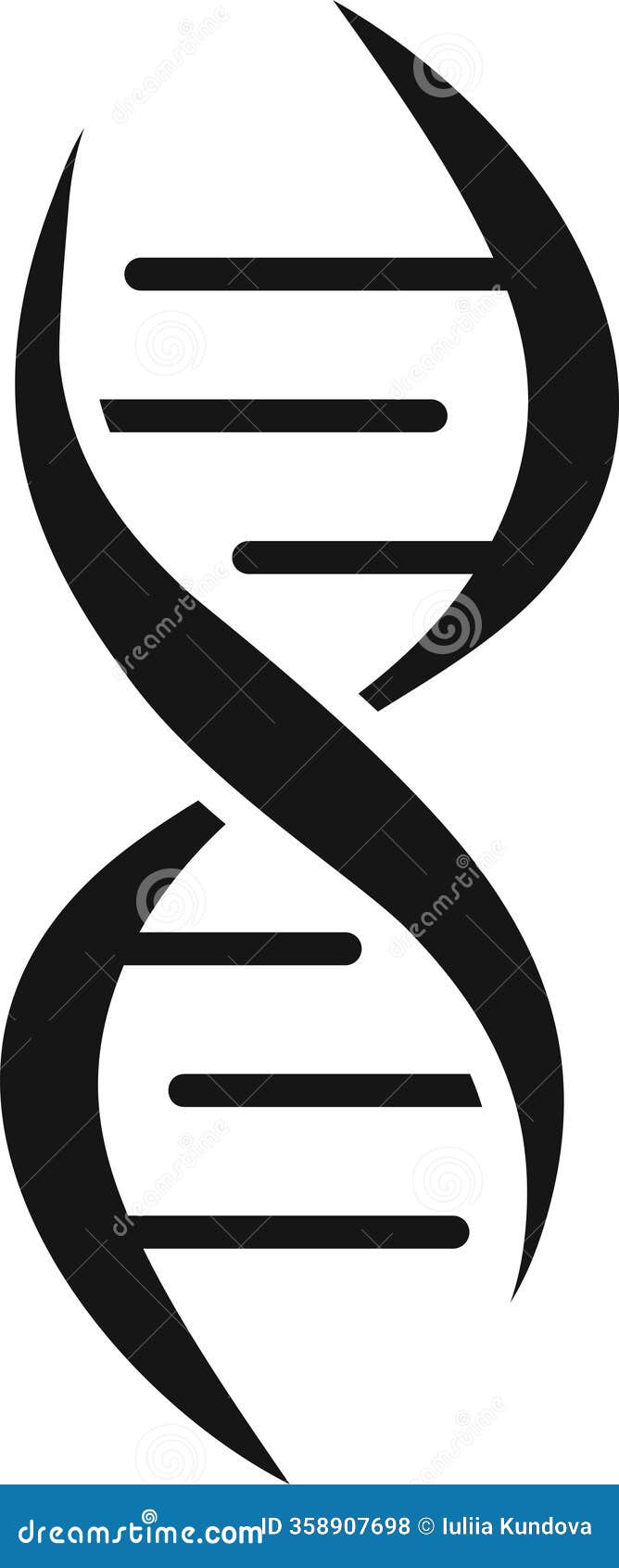 DNA Double Helix Rotating and Forming a Dynamic Spiral Structure ...