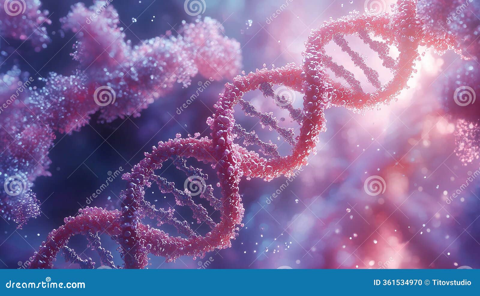 DNA Helix Structure The Fork In The Middle, DNA And Nutrition Effect ...