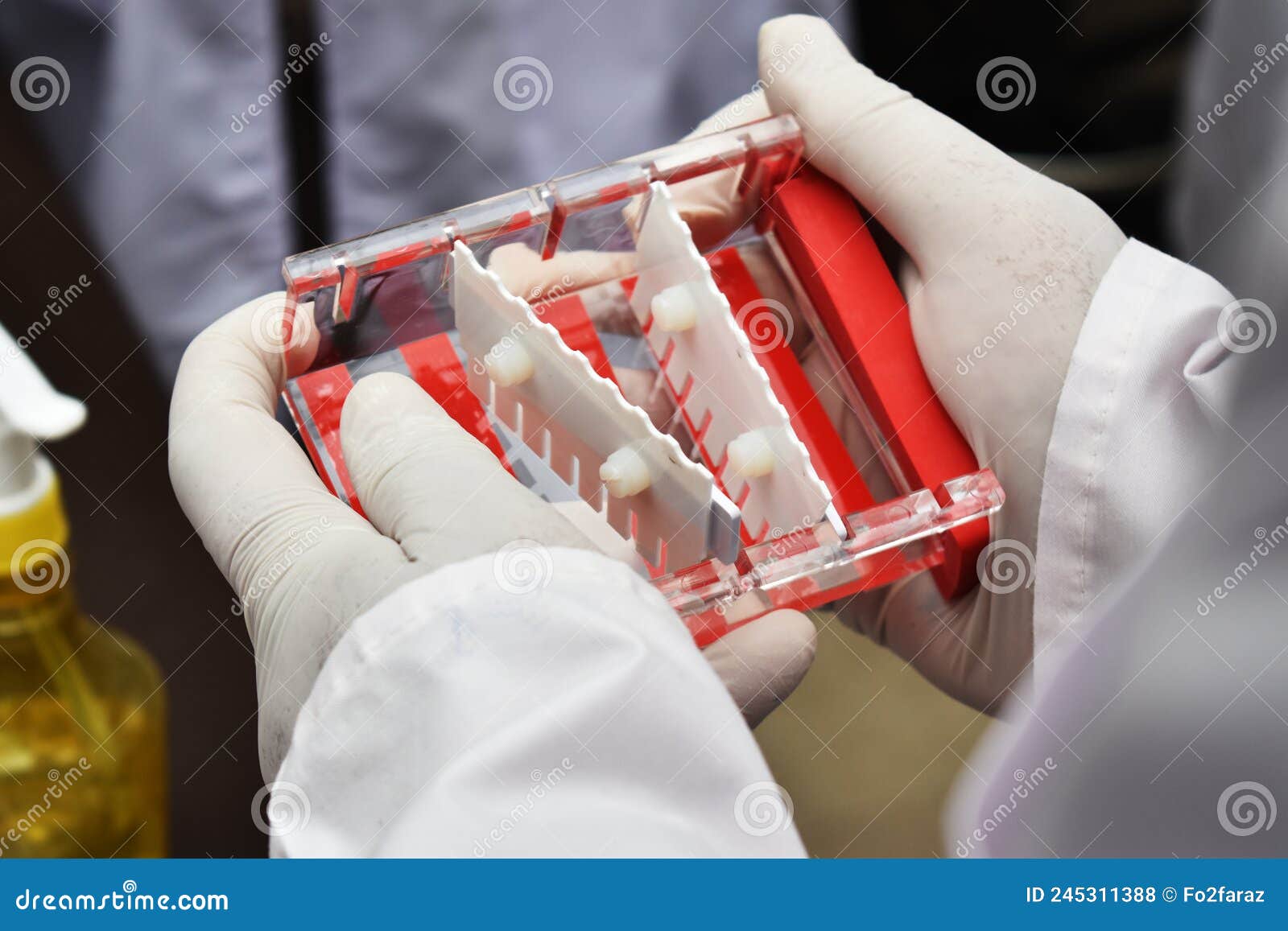 DNA Extraction Procedure in Laboratory. Stock Photo - Image of accused ...