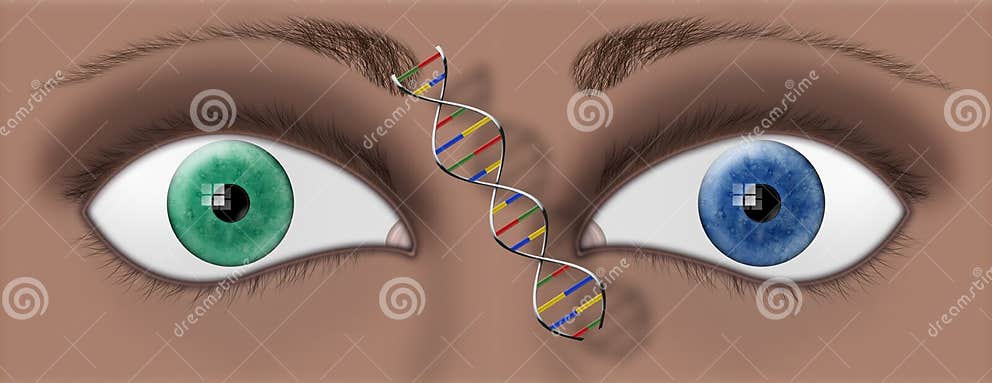 DNA EYES stock illustration. Illustration of macro, genomes - 624126