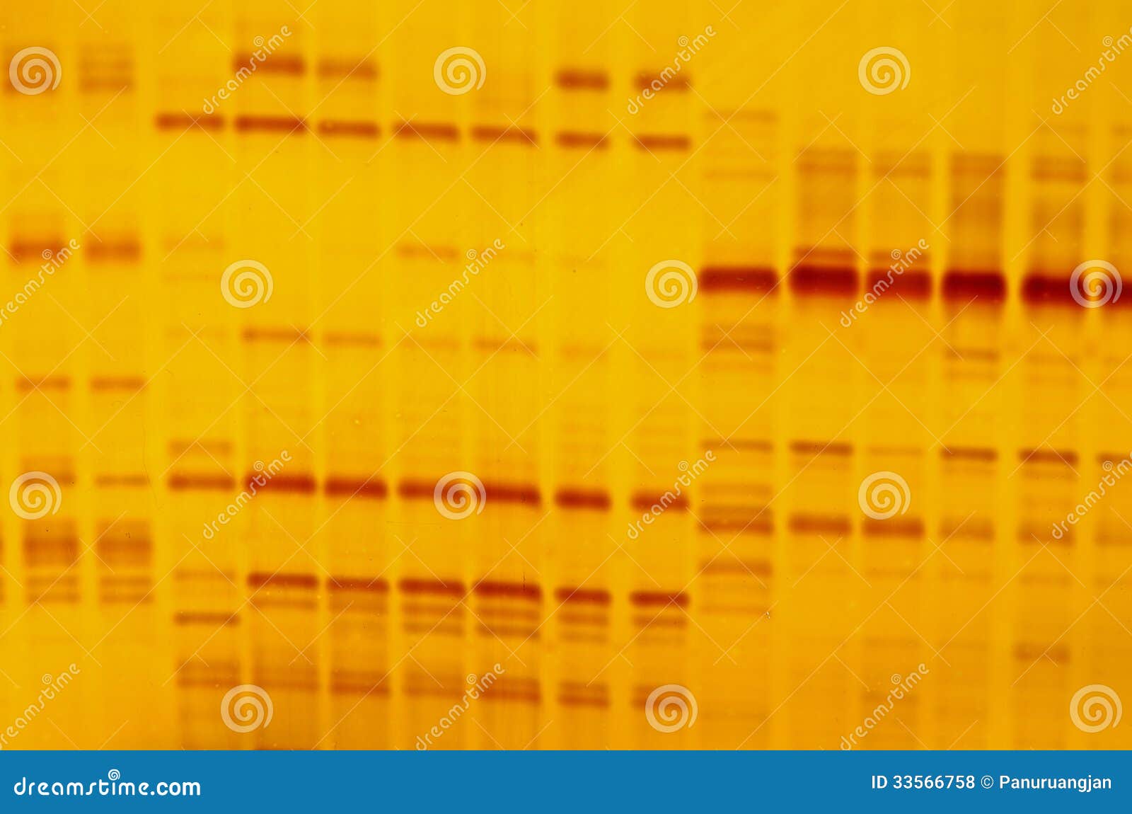 DNA fingerprint stock photo. Image of fingerprint, biochemistry - 33566758