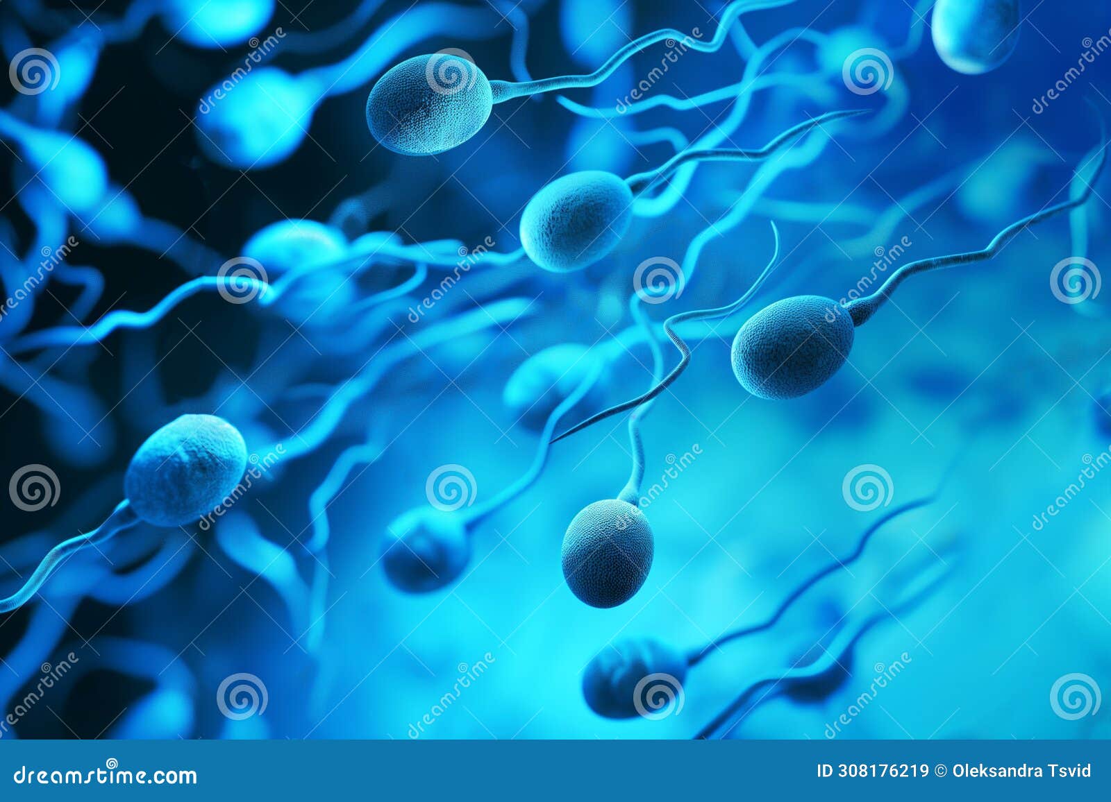DNA Fragmentation Test for Sperm Assesses Sperm Quality Stock Image ...