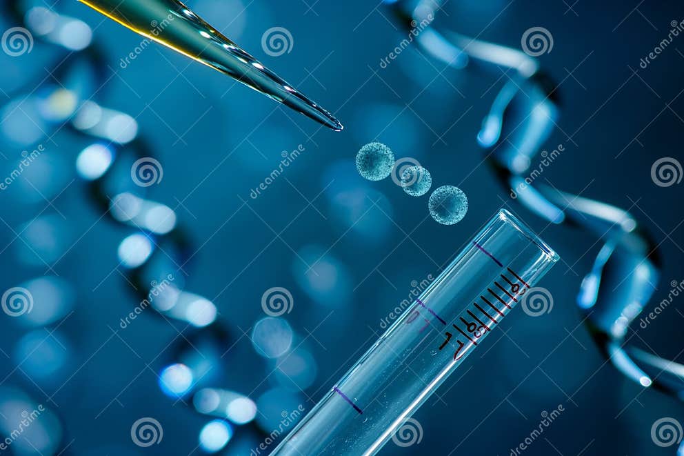 DNA Fragmentation Test for Sperm Assesses Sperm Quality Stock Photo ...