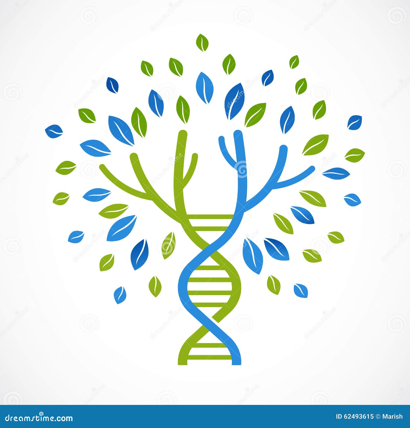 Genetic Tree Stock Illustrations – 1,071 Genetic Tree Stock ...