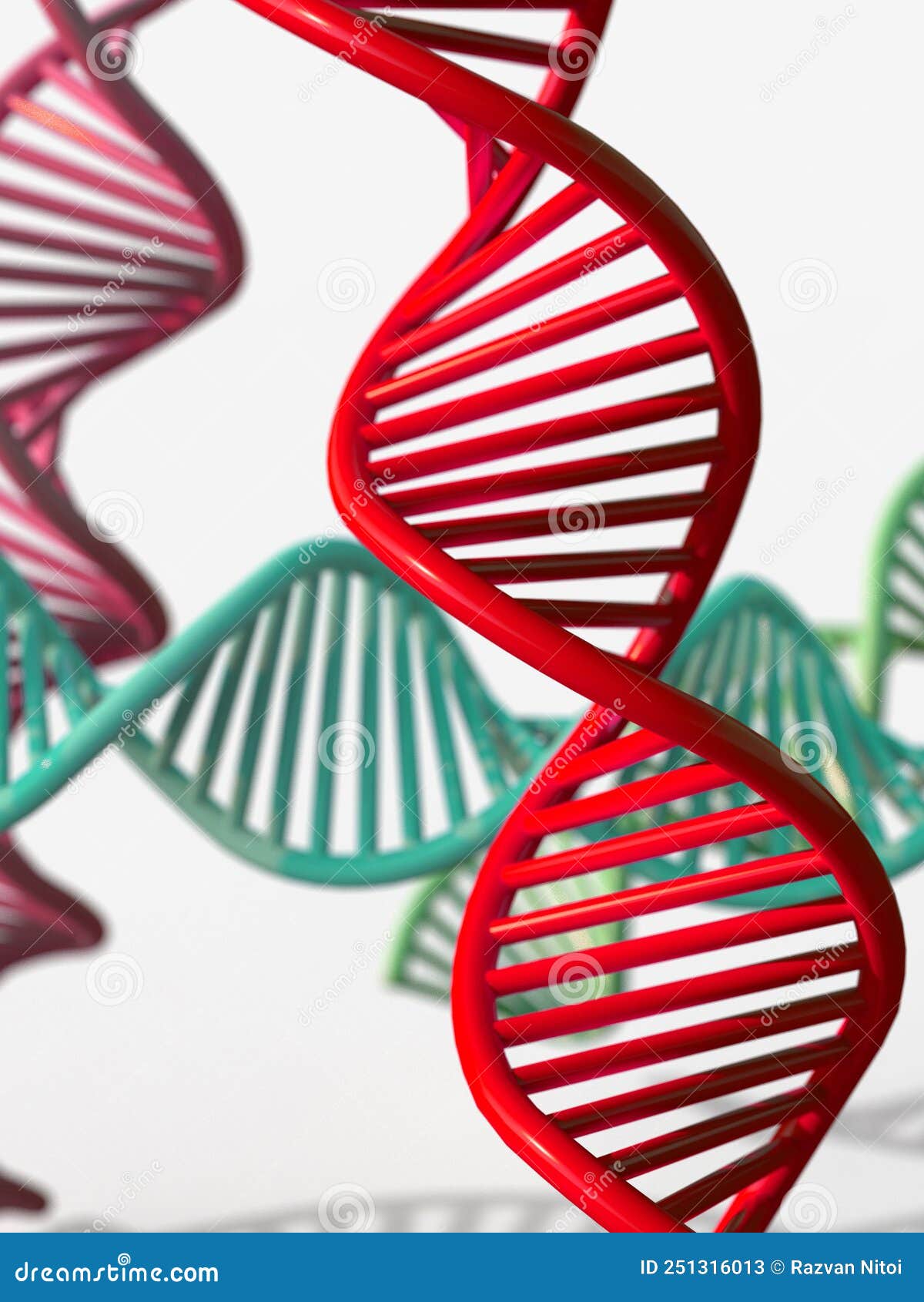 DNA Genetic Molecule Spiral Structure Stock Illustration - Illustration ...