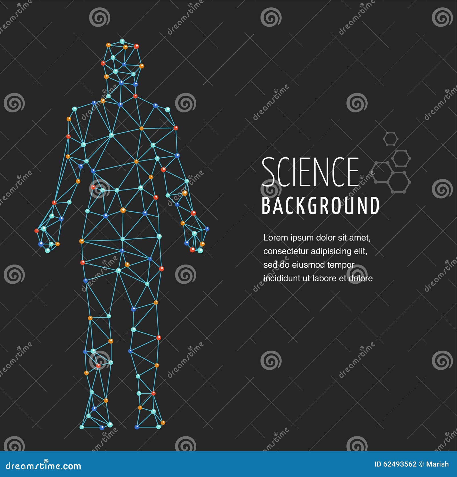 DNA, Genetic Symbol of Man with Dna Molecule Structure Stock Vector ...