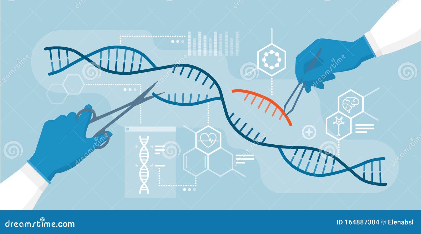 DNA and genome editing stock vector. Illustration of ethics - 164887304