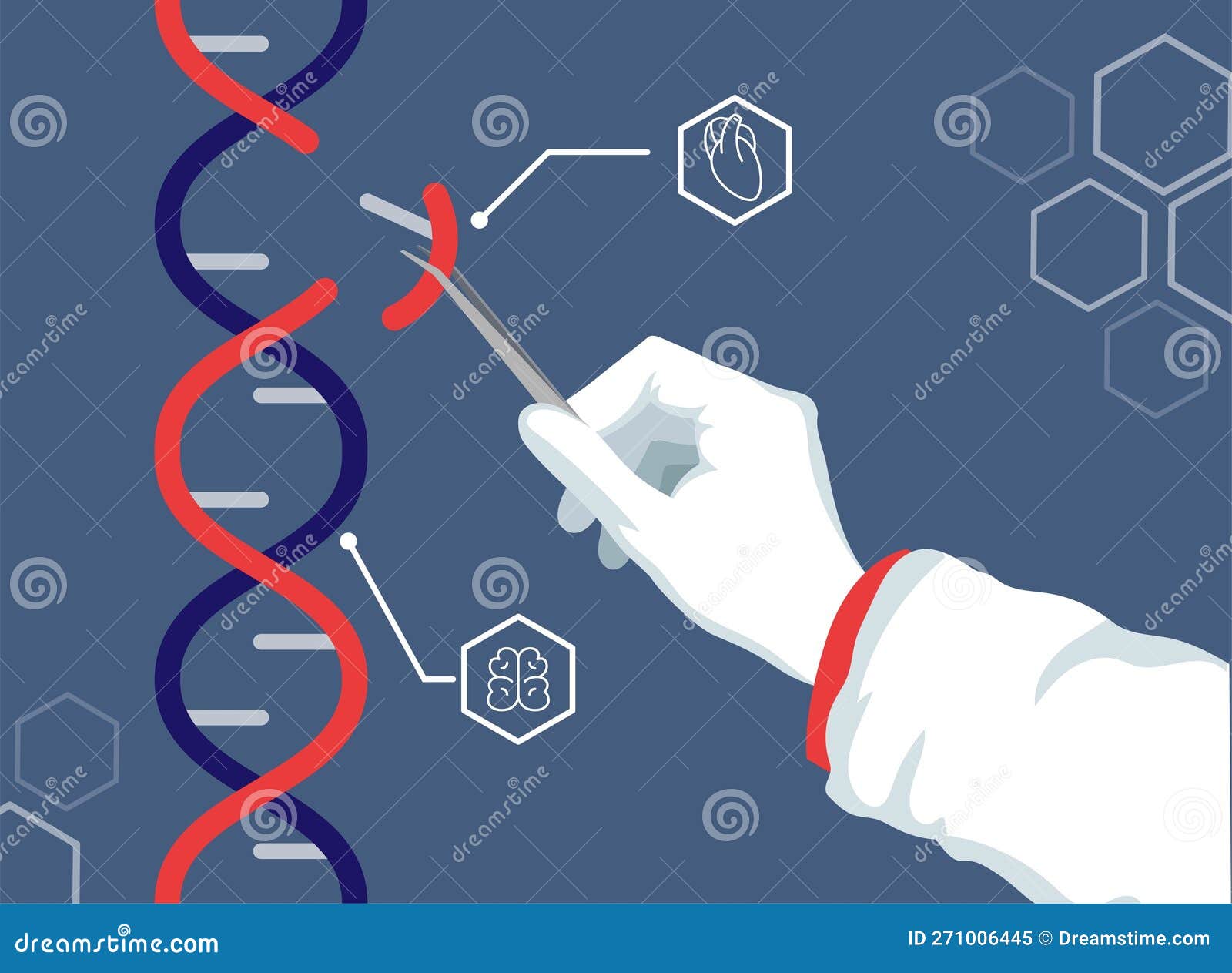 DNA Genome. Genetics Modification Engineering. Baby Genetically ... DNA Genome. Genetics Modification Engineering. Baby Genetically ...