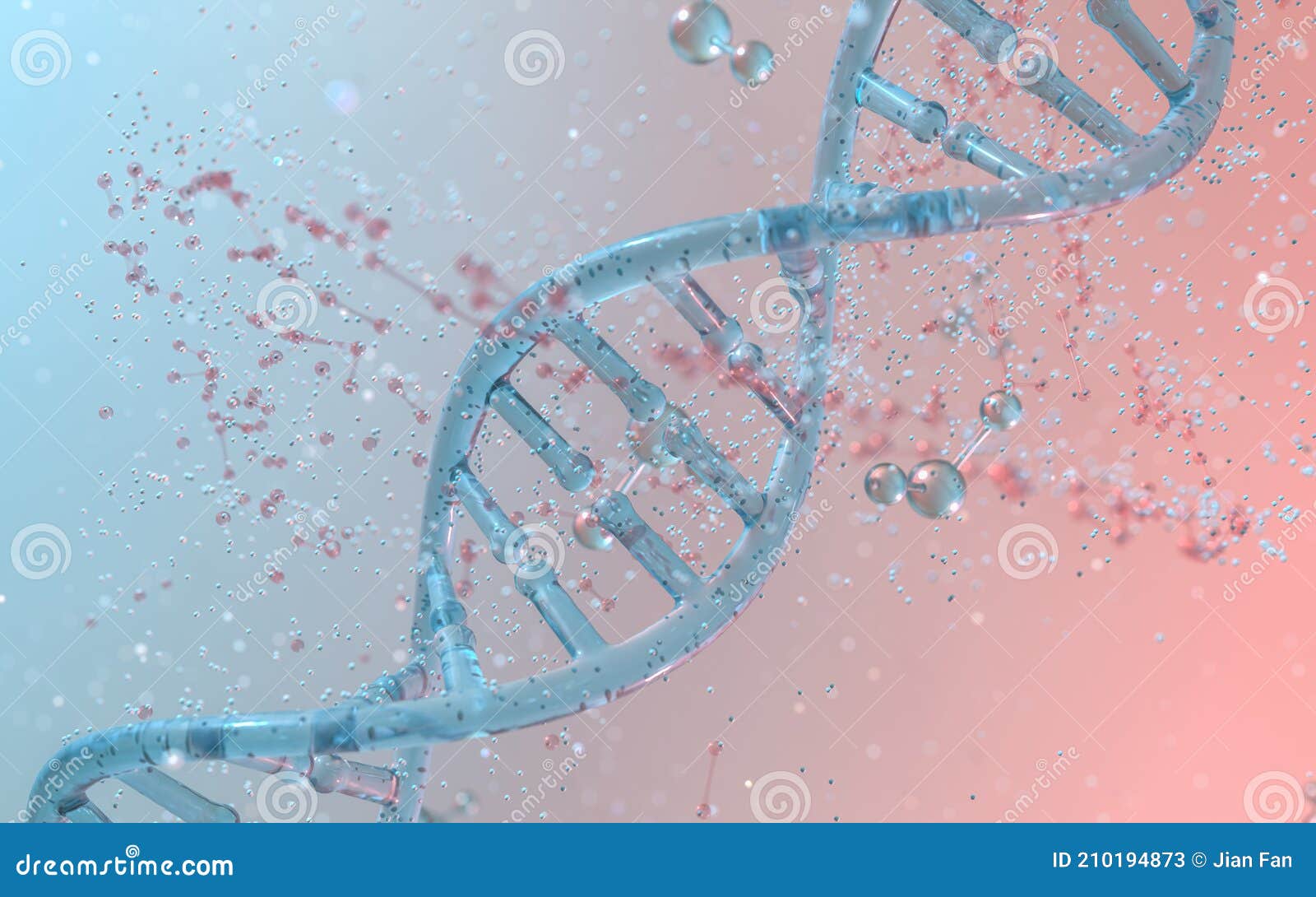 DNA Genomes Structure with Division Molecule, 3d Rendering Stock ...