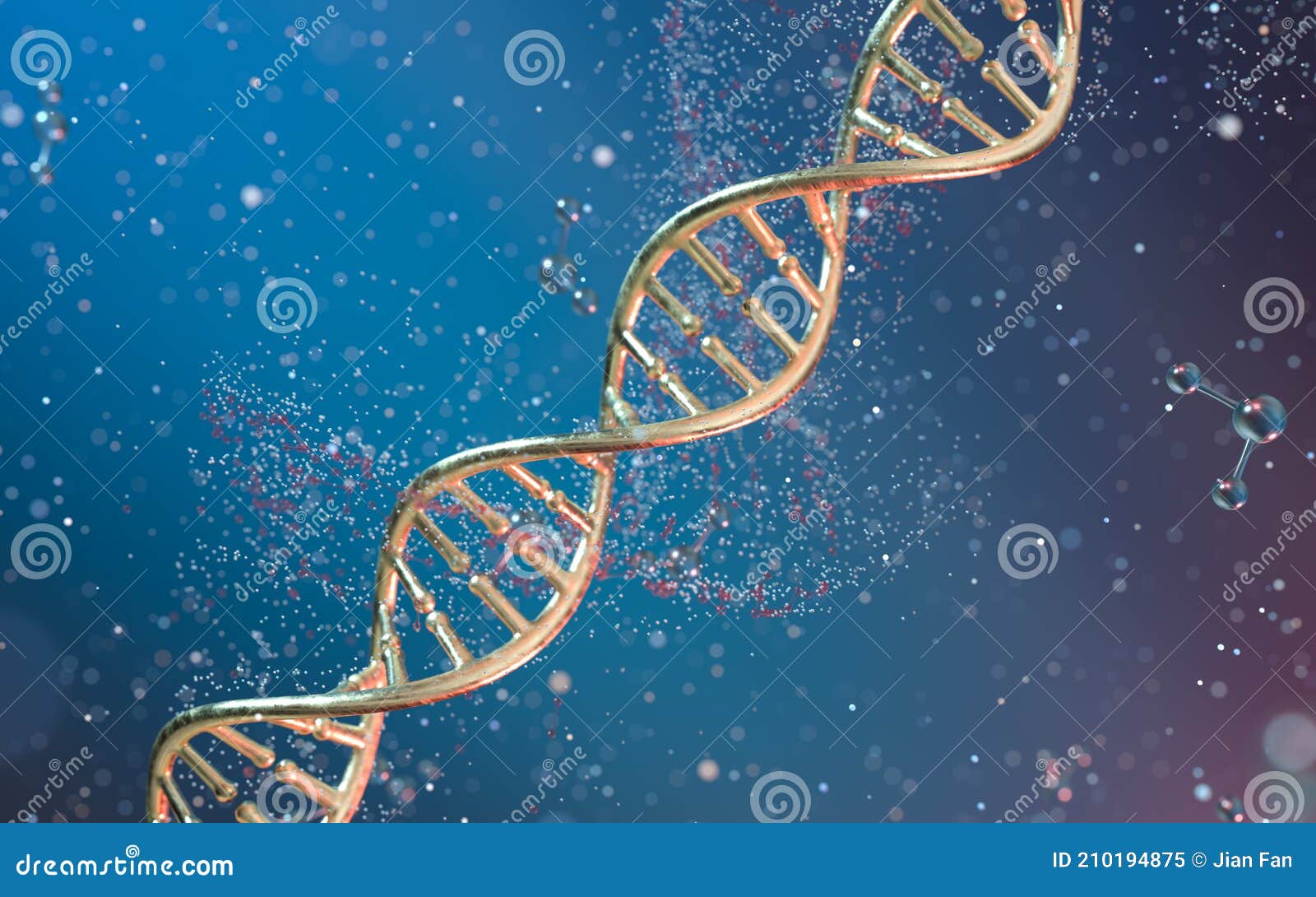 DNA Genomes Structure with Division Molecule, 3d Rendering Stock ...