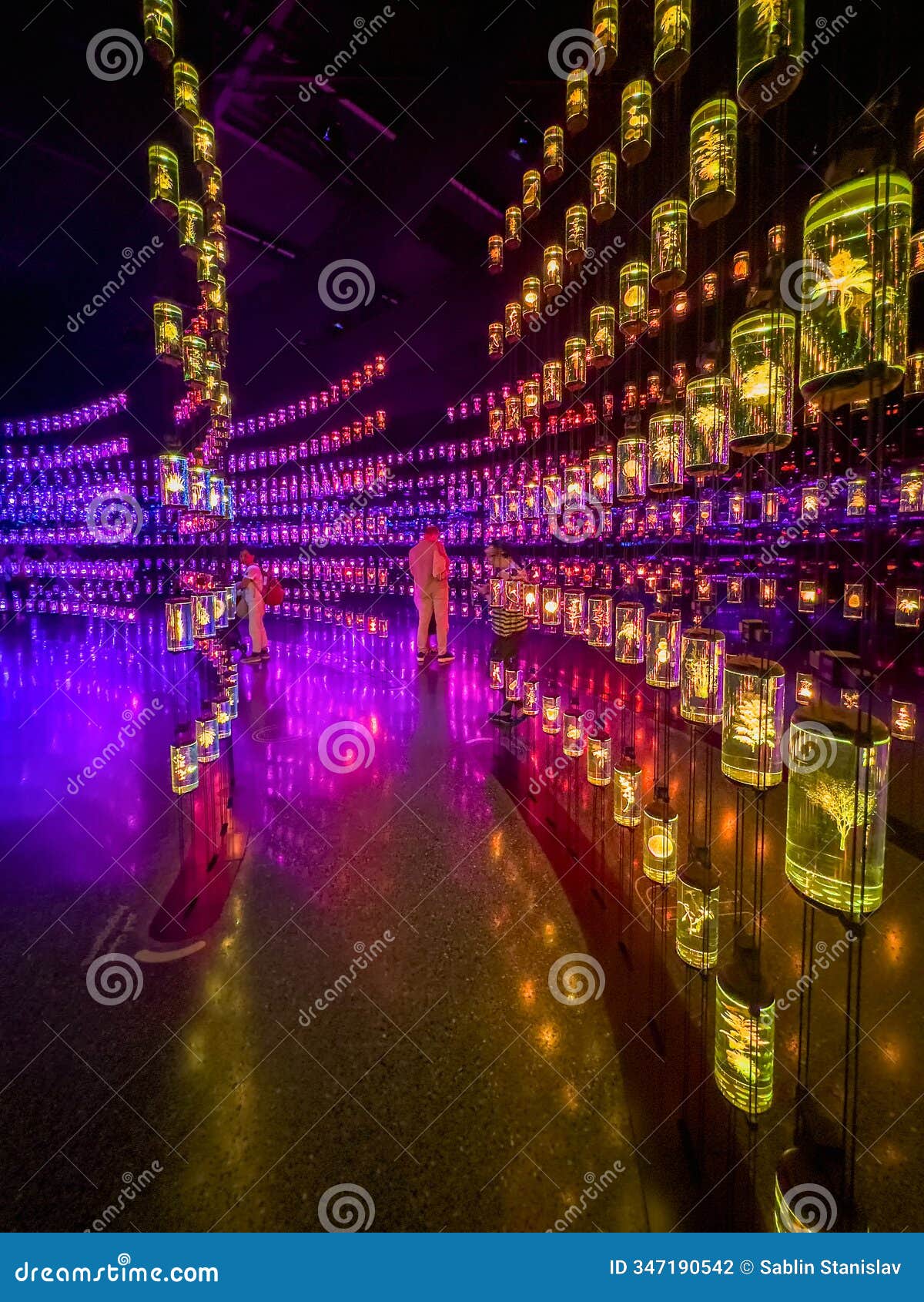 The DNA Hall. Museum of the Future Indoor, Dubai Editorial Photography ...