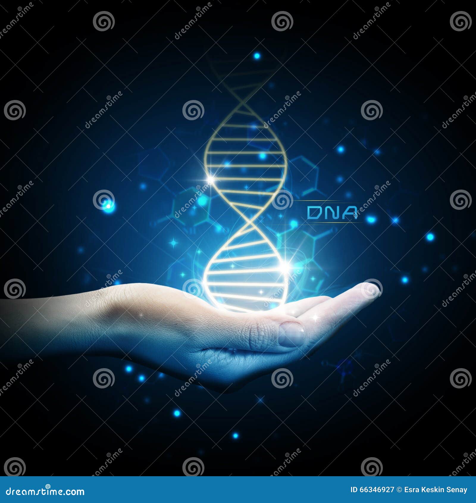 DNA an Hand stockbild. Bild von hintergrund, molekular - 66346927