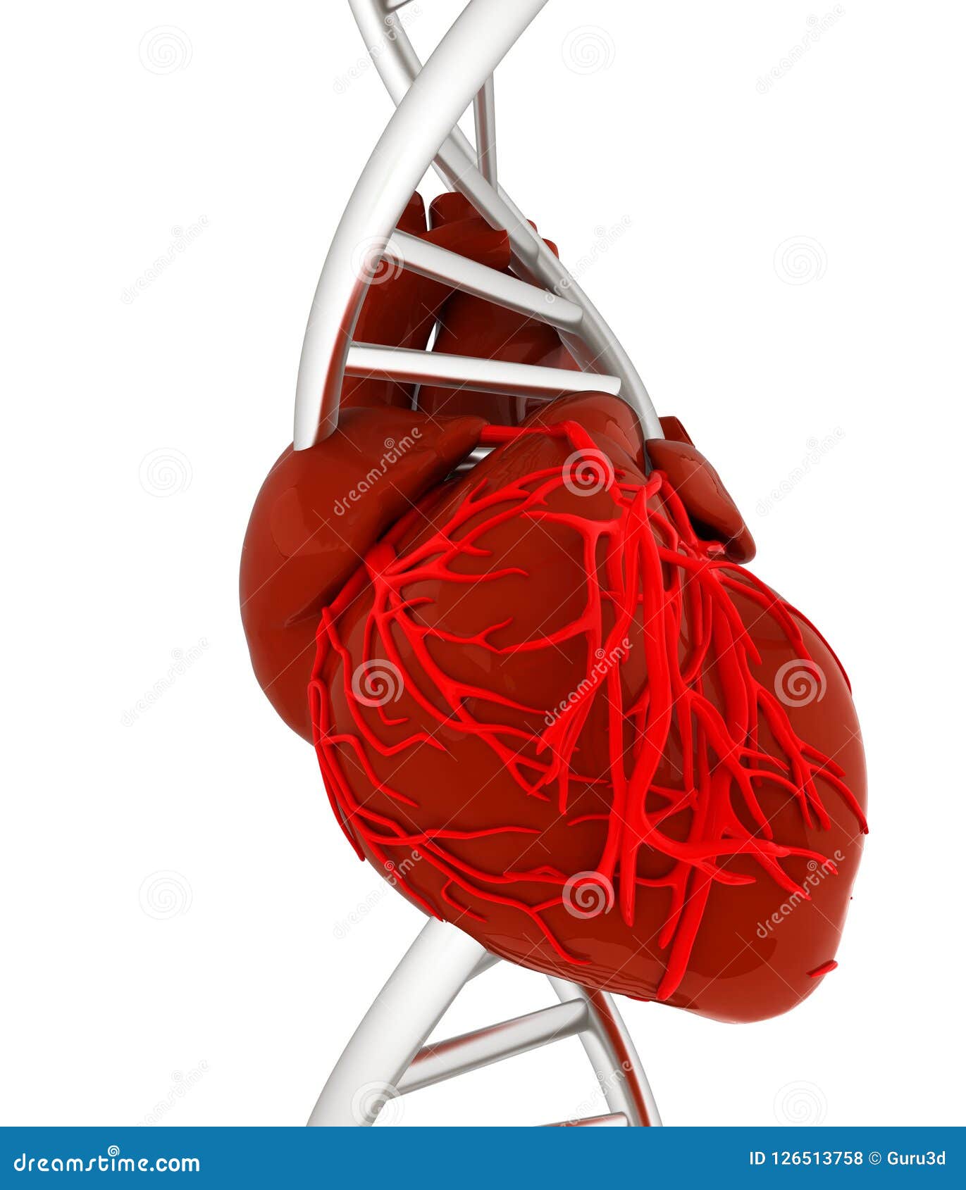 DNA and heart stock illustration. Illustration of biology - 126513758