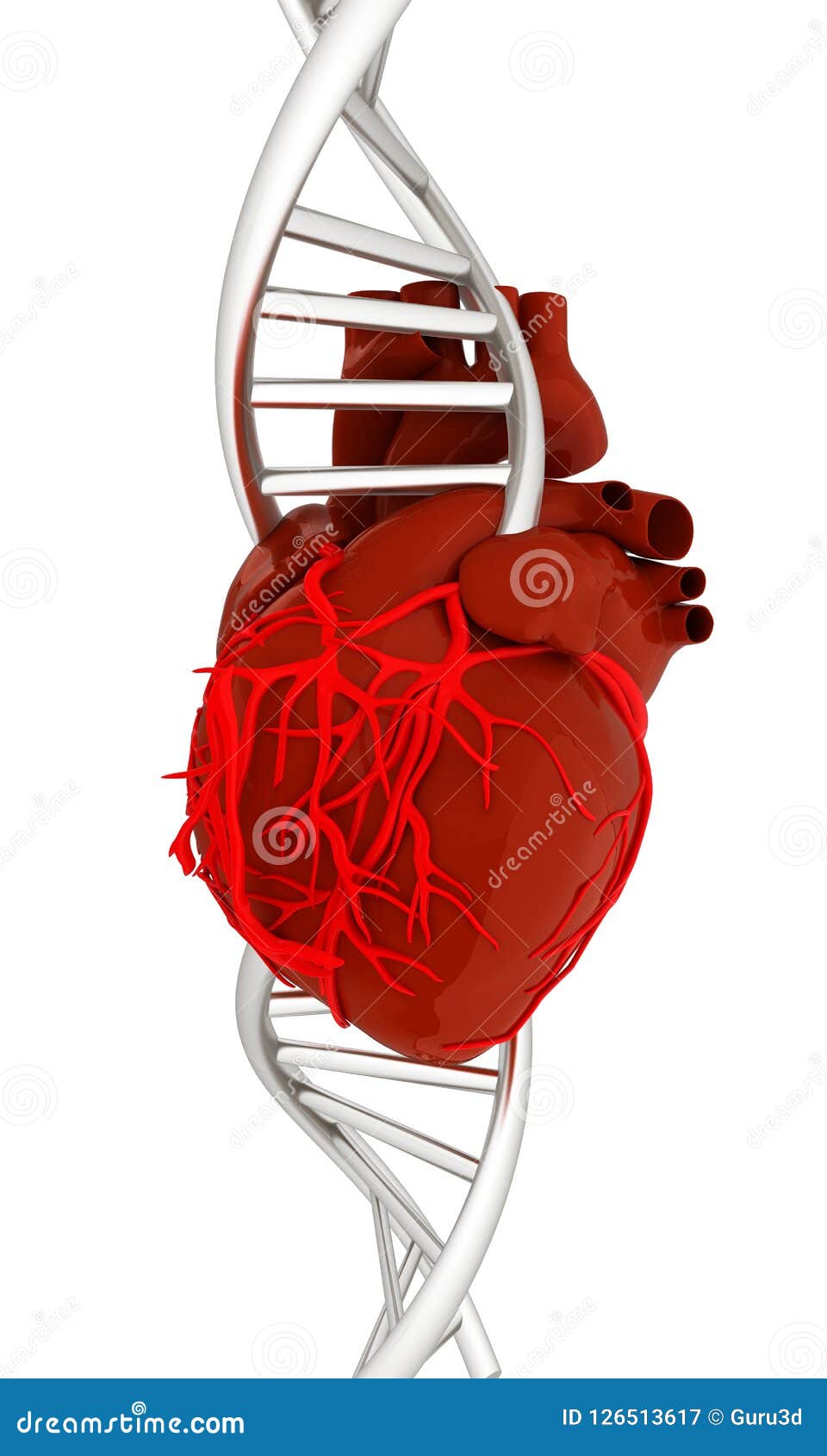 DNA and heart stock illustration. Illustration of render - 126513617