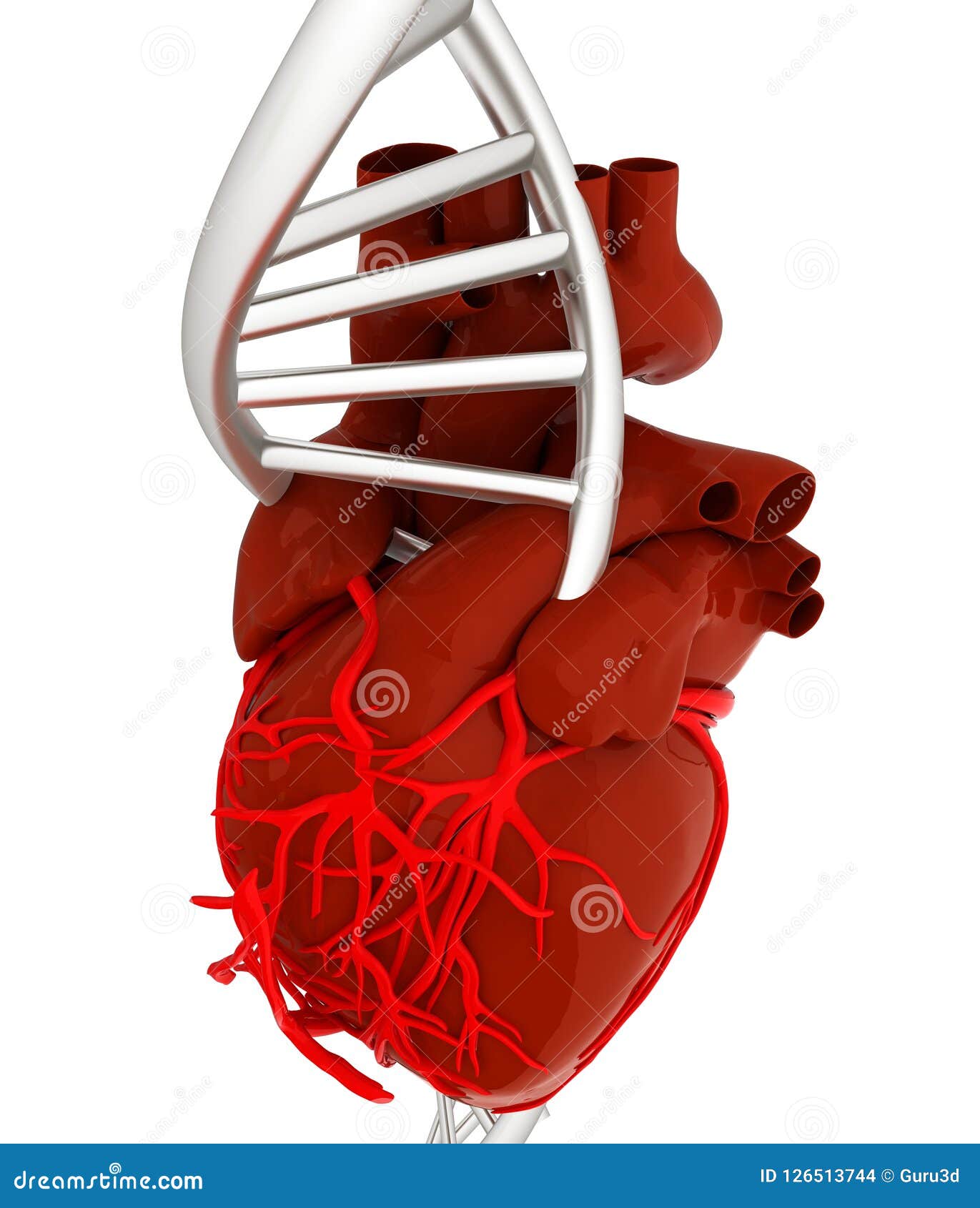 DNA and heart stock illustration. Illustration of composition - 126513744