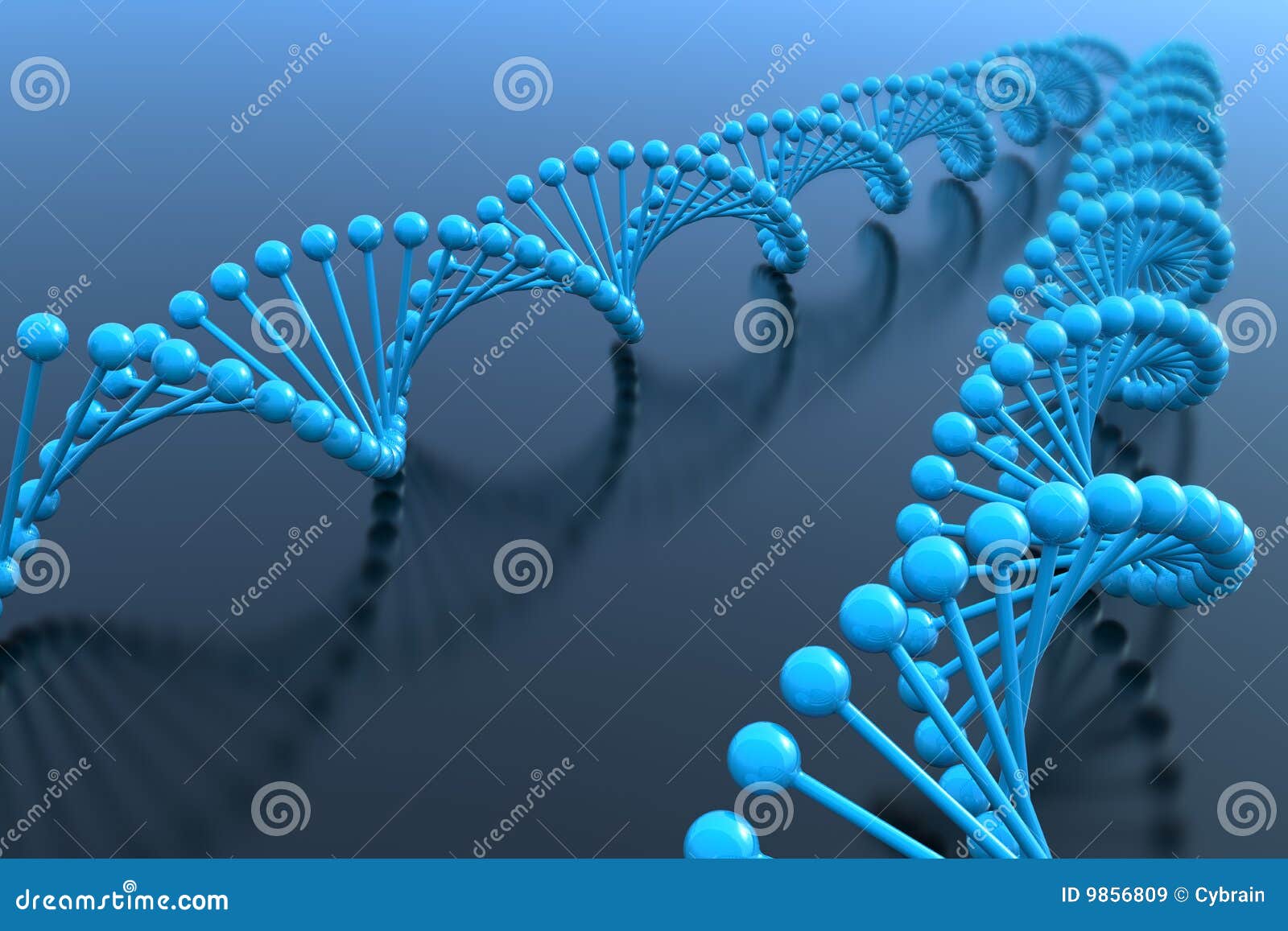 DNA helices stock illustration. Illustration of biology - 9856809