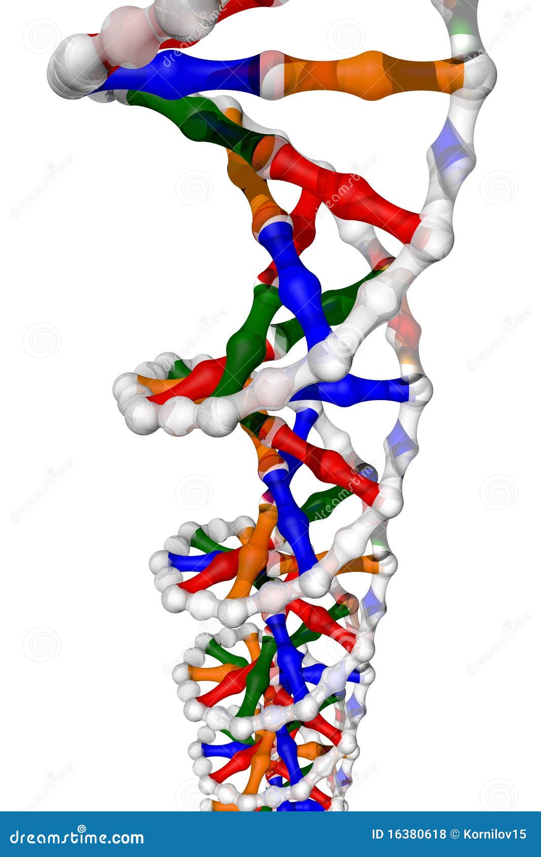 DNA helix (isolated) stock illustration. Illustration of genetics ...