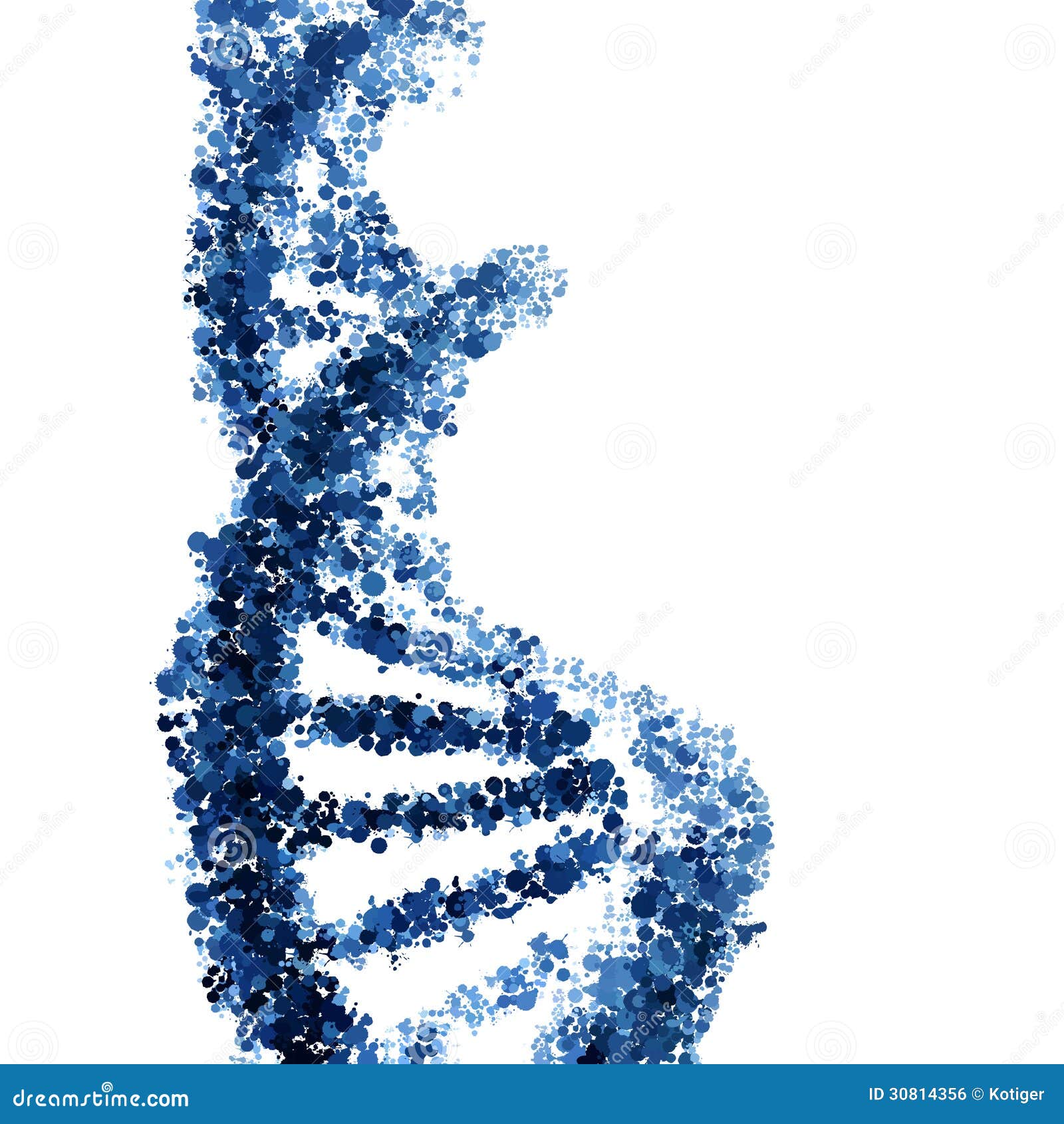 DNA Helix Isolated On White Royalty Free Stock Image - Image: 30814356