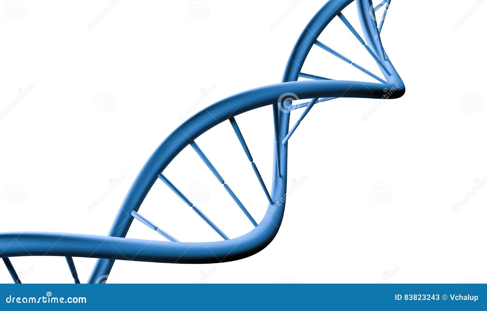 DNA Helix Molecule Isolated on White Background. 3D Rendered ...