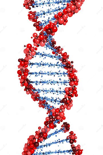 DNA helix stock illustration. Illustration of evolution - 43067646