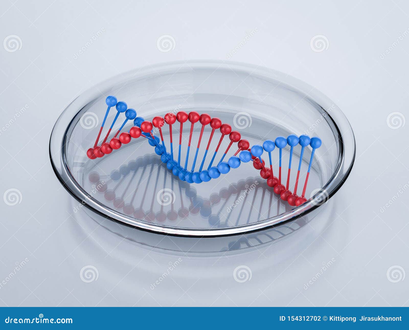 X-ray Dna Helix Structure Stock Photo | CartoonDealer.com #153167826