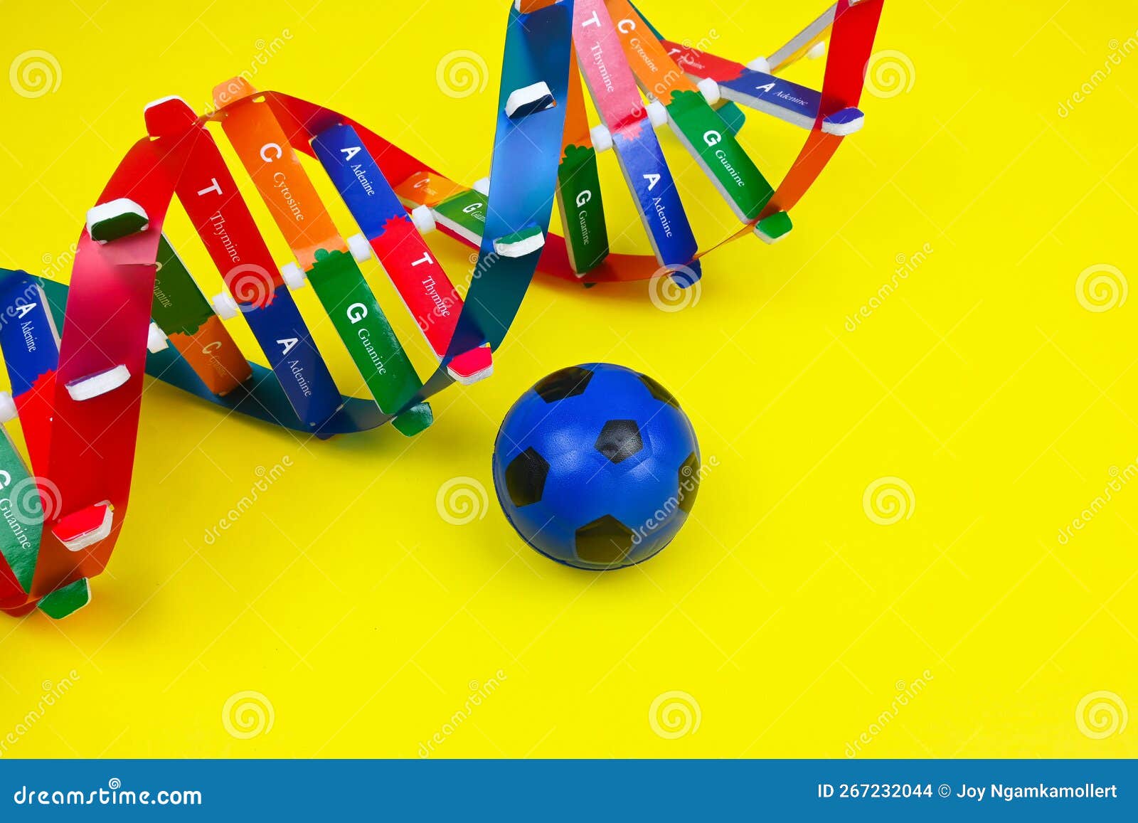 DNA Helix Structure. Genetics and Sports Performance, the Present and ...