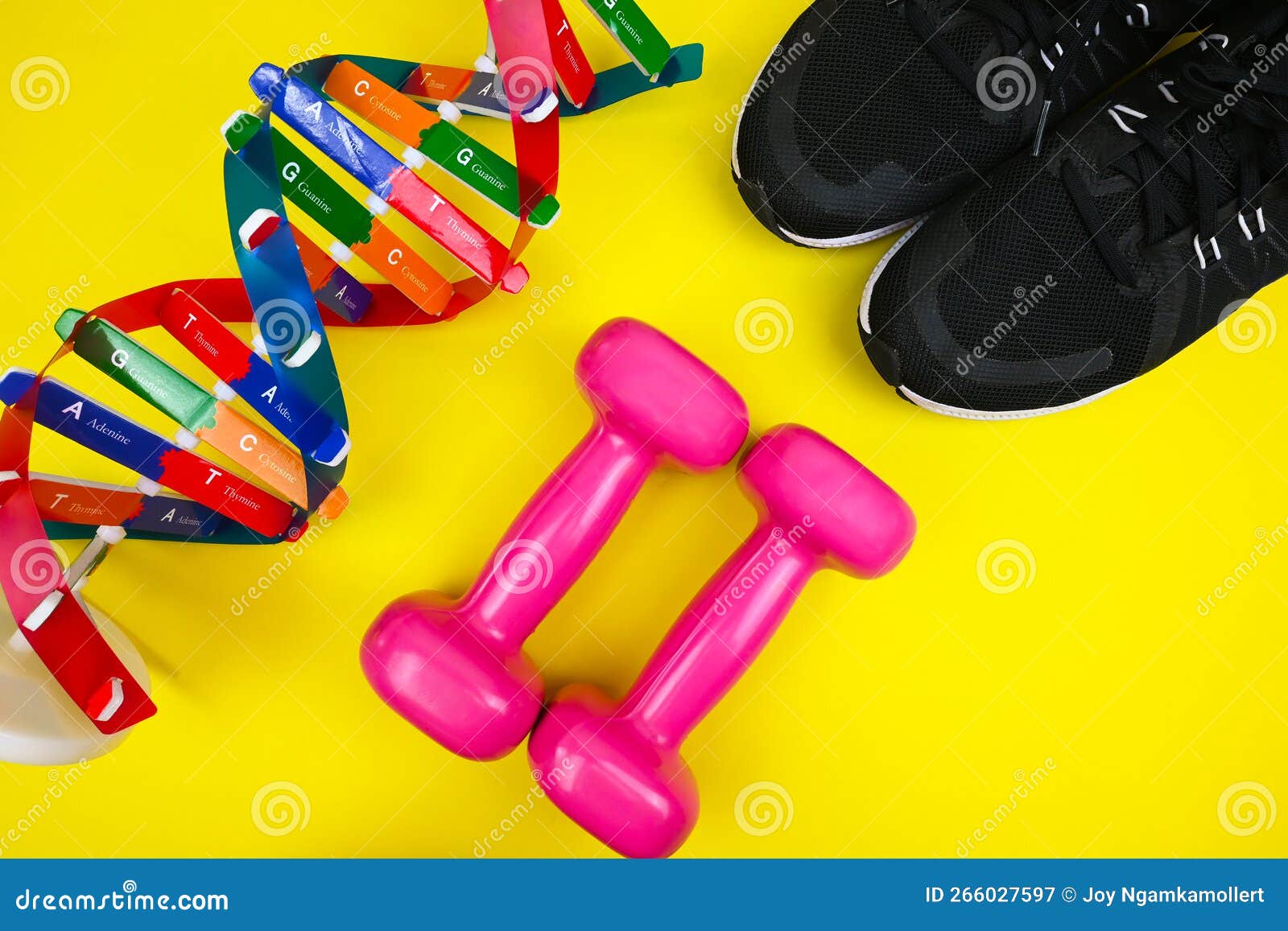 DNA Helix Structure. How To Develop A Workout Plan Based On Your ... DNA Helix Structure. How To Develop A Workout Plan Based On Your ...