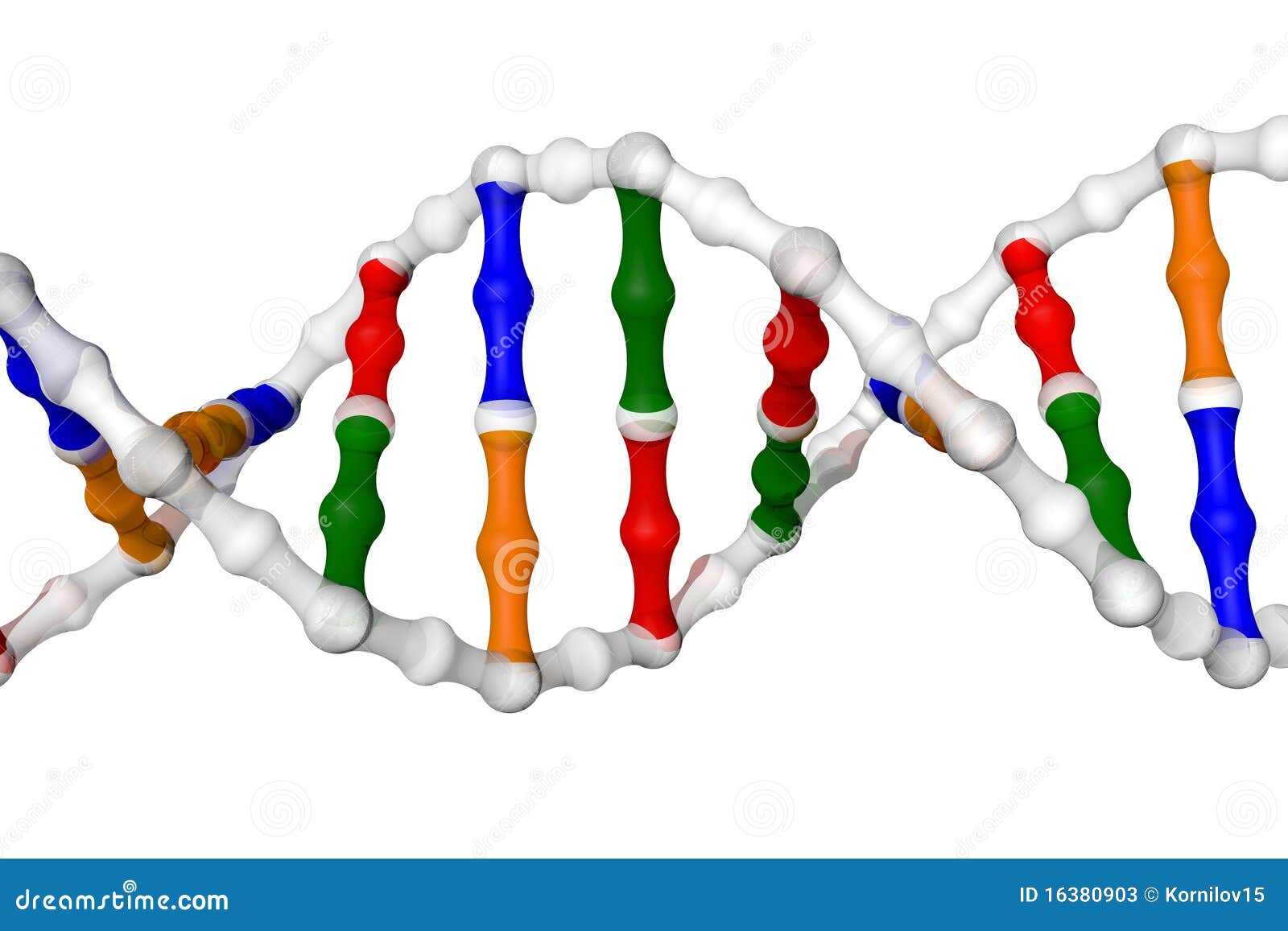 DNA Helix On White Background Royalty-Free Stock Photography ...