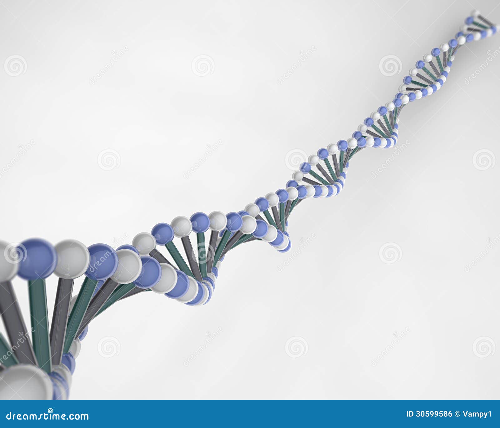 DNA Helix Stock Photo | CartoonDealer.com #30599586