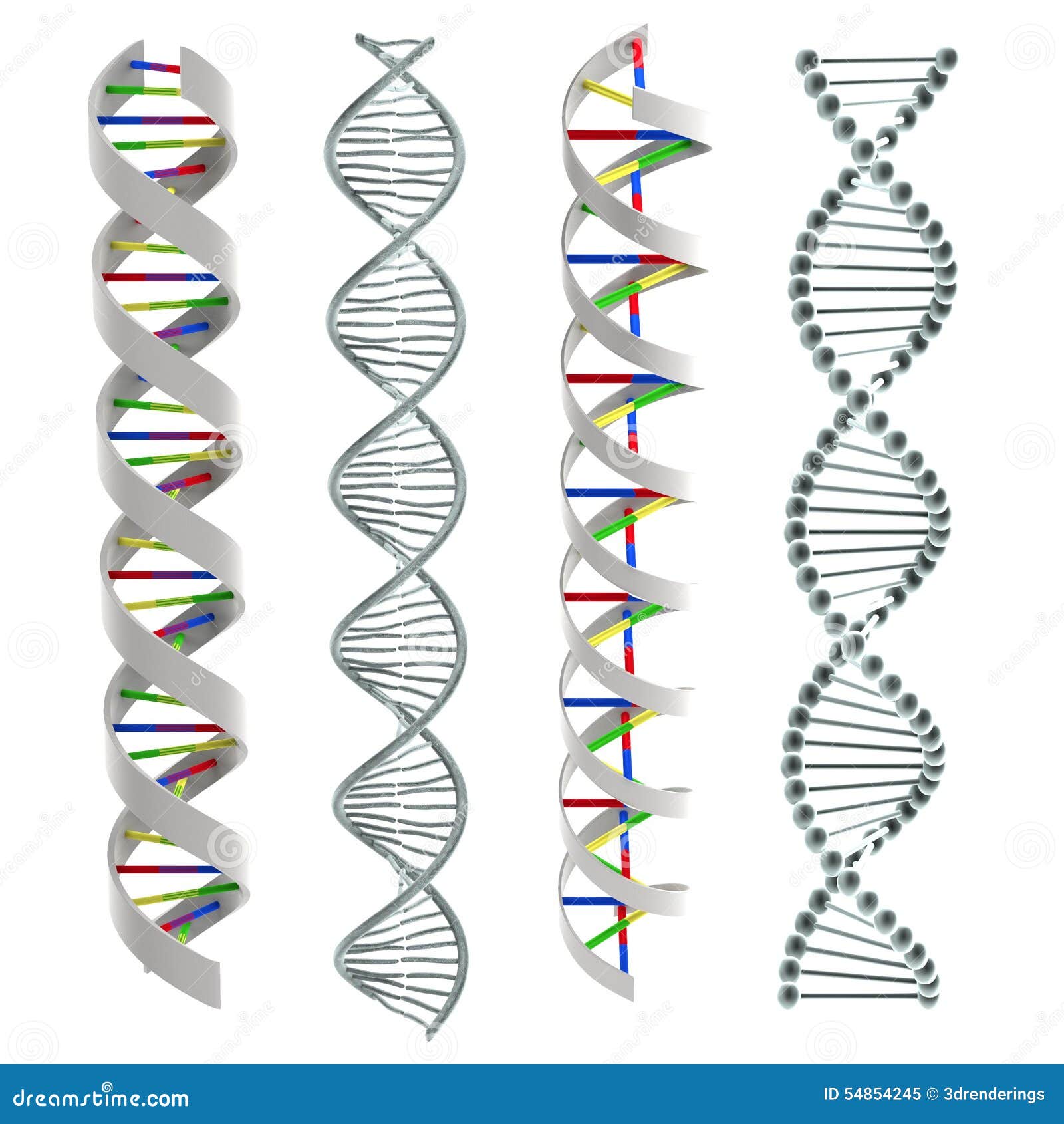 DNA Helixes Stock Photography | CartoonDealer.com #10397714