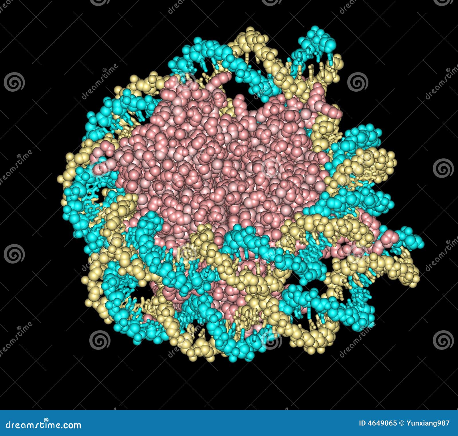DNA with histone protein stock illustration. Illustration of biology ...
