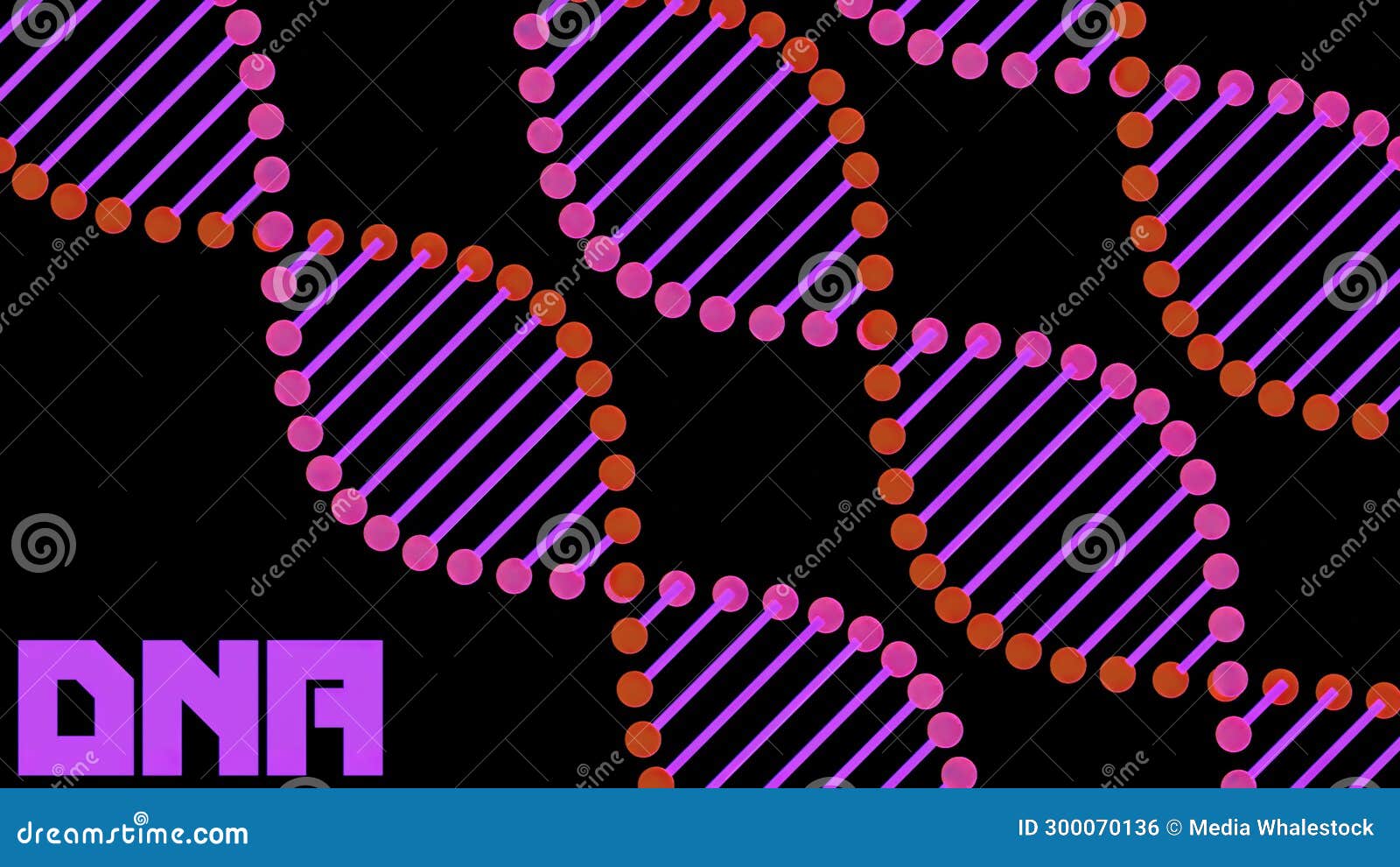 DNA Human Structure. Design. Schematic Colorful DNA Spiral, Science for ...