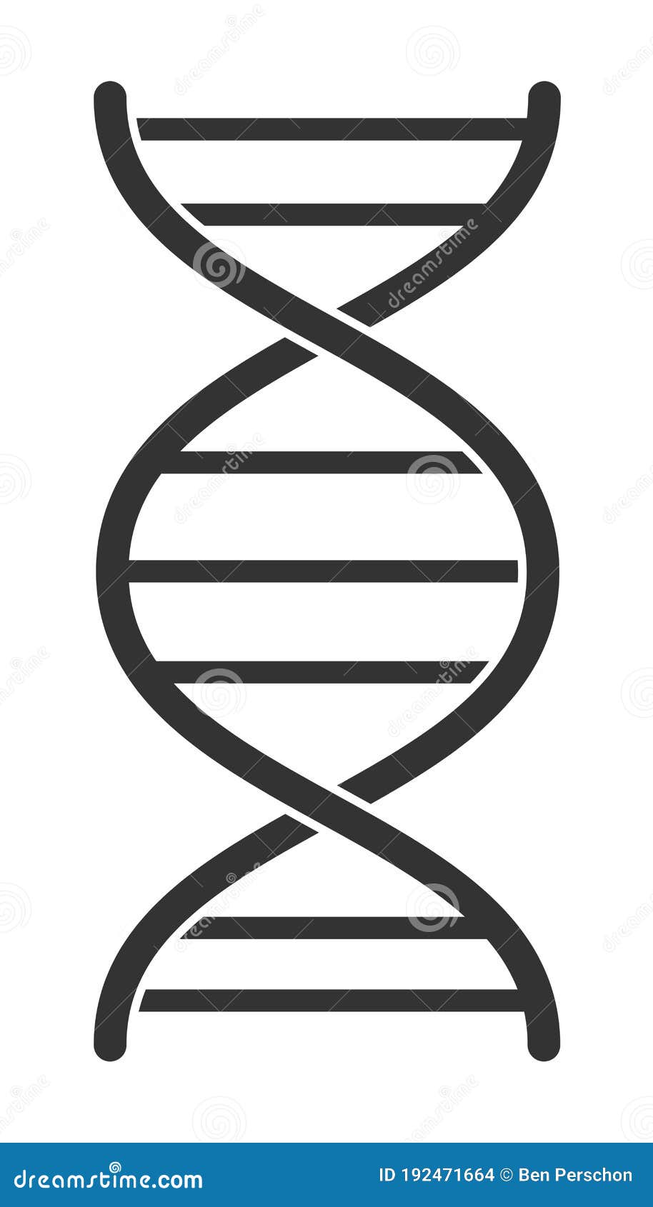 Simple DNA Strand Helix Molecule Vector. Stock Vector - Illustration of ...