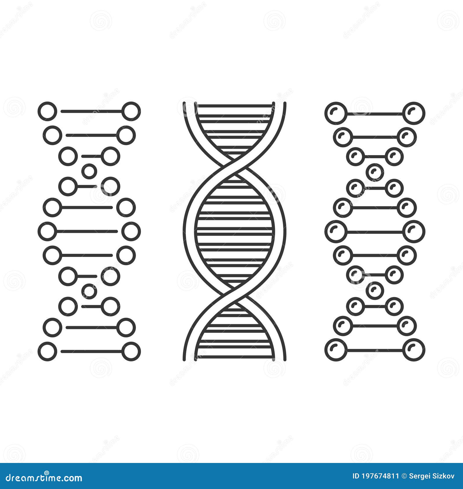 DNA Icons Set on White Background. Vector Stock Vector - Illustration ...