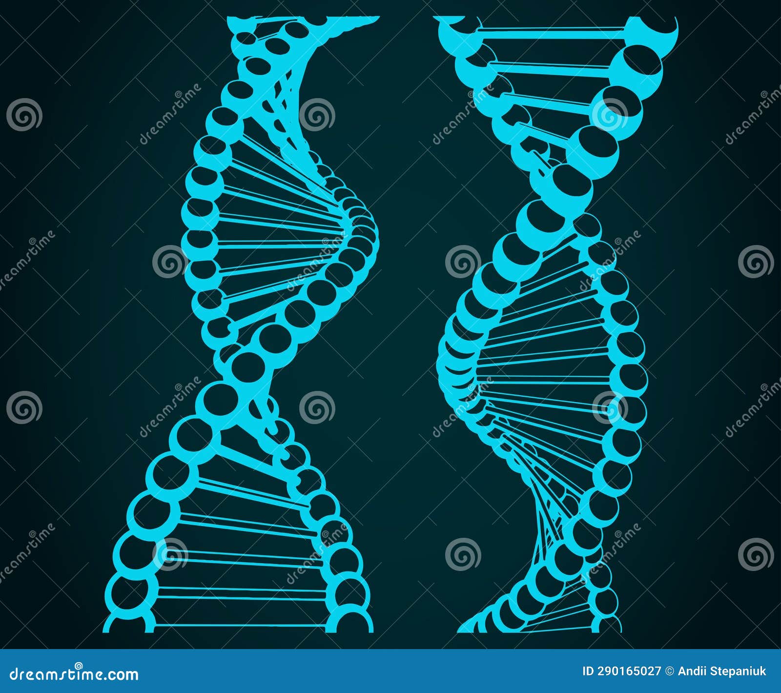 DNA chains illustration stock vector. Illustration of code - 290165027