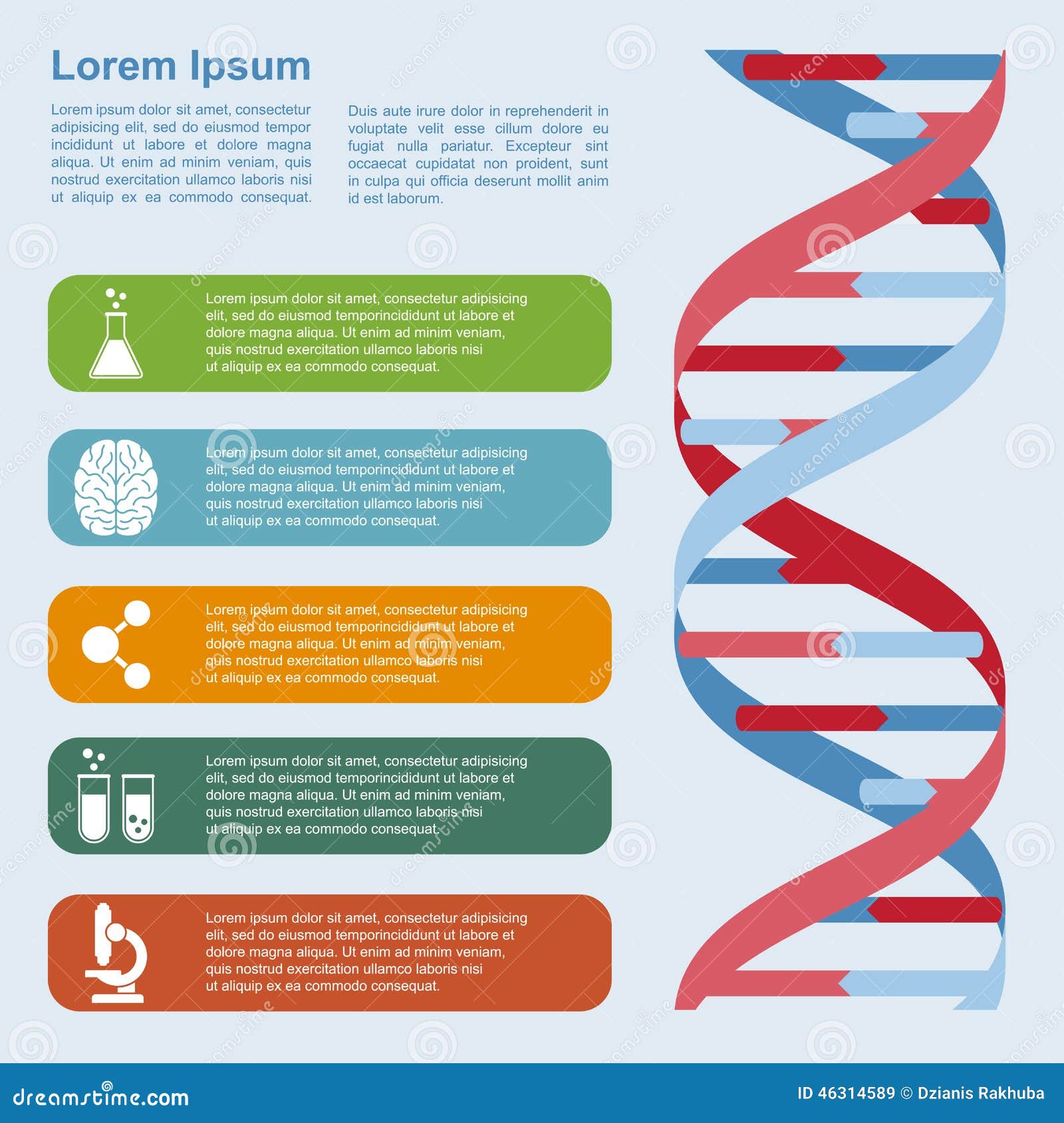 DNA Infographic vector illustratie. Illustration of element - 46314589