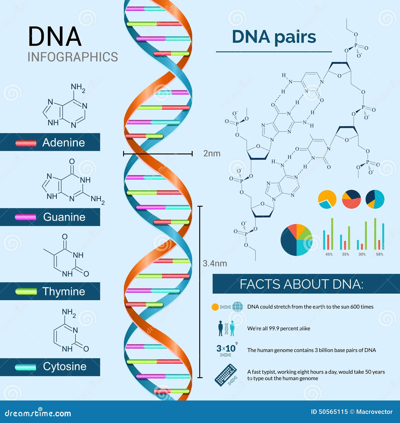 Dna Infographics Set stock vector. Illustration of abstract - 50565115 Dna Infographics Set stock vector. Illustration of abstract - 50565115