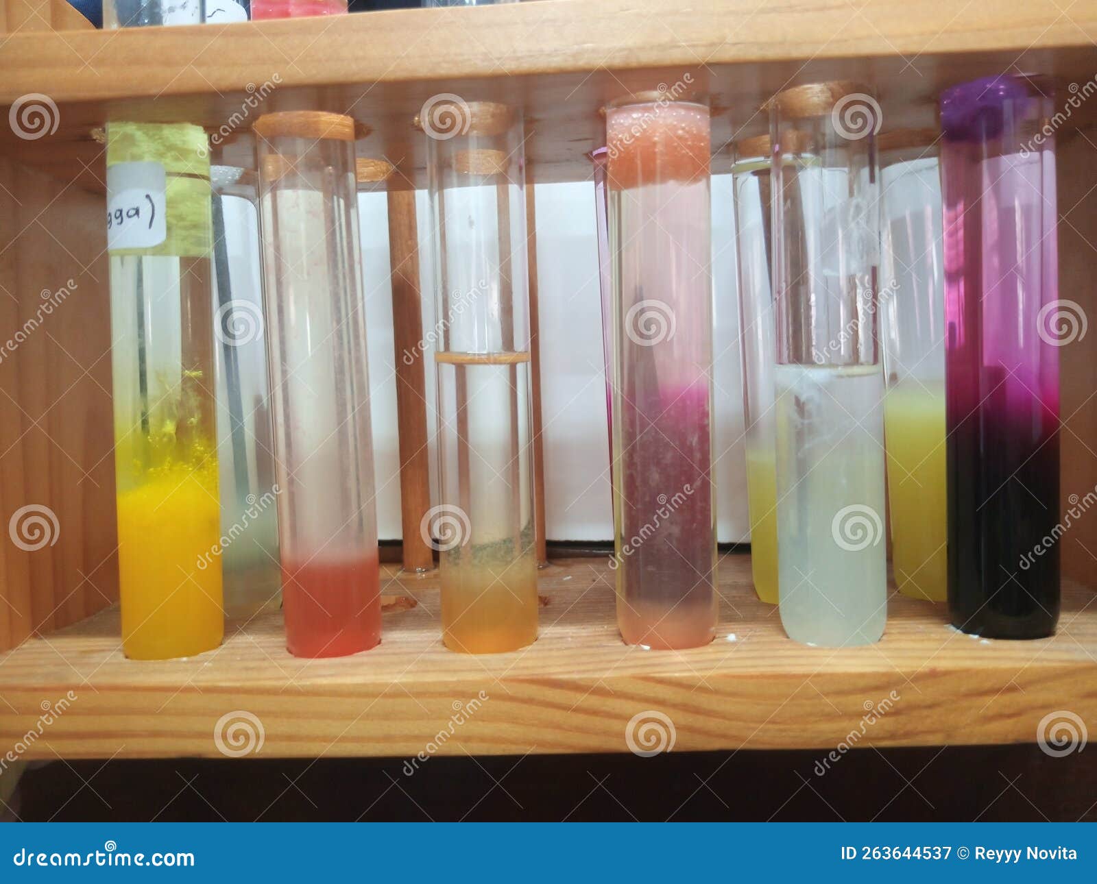 DNA Isolation Experiments with Various Fruits Stock Image - Image of ...