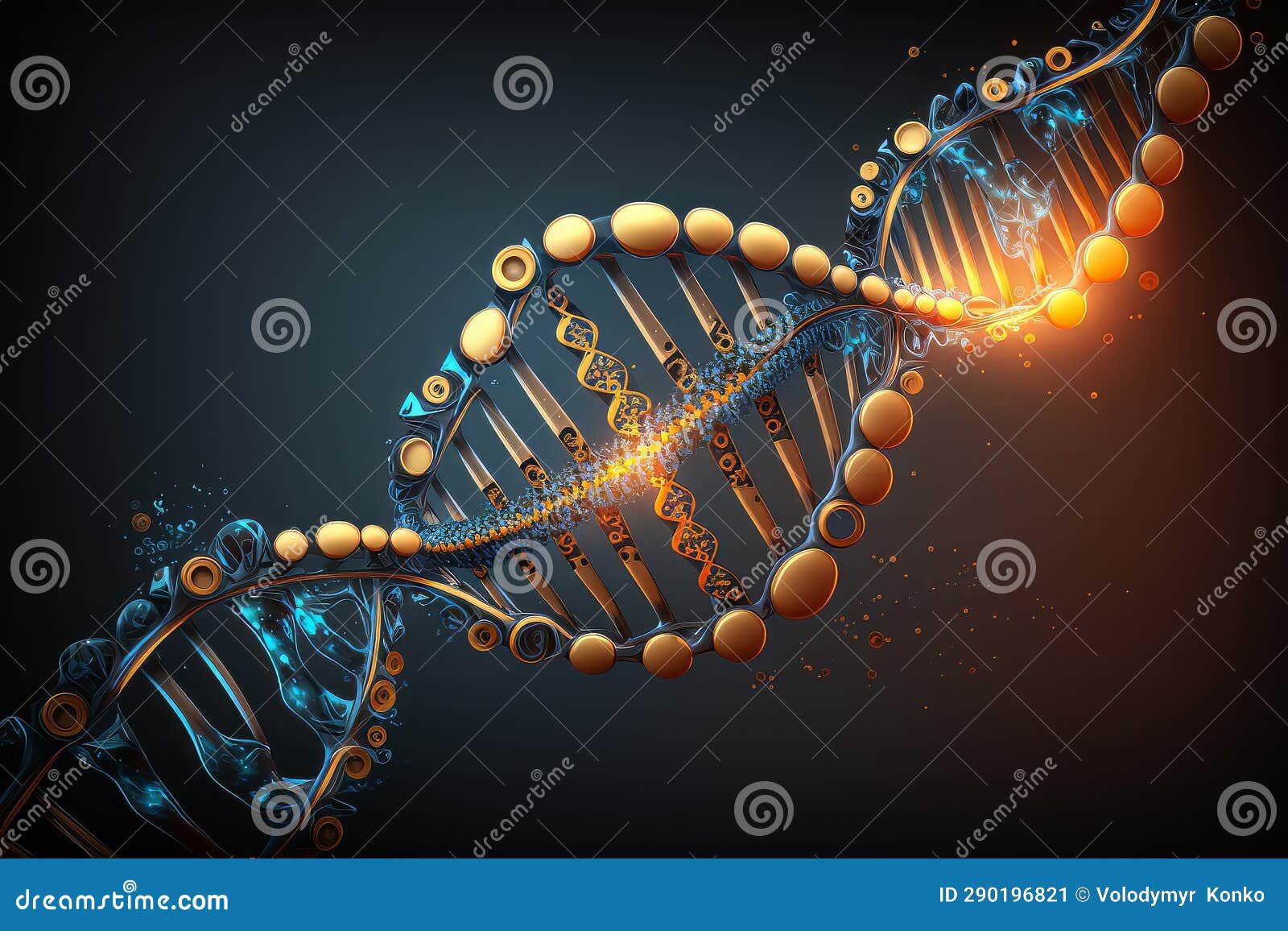 The DNA Journey. an Illustration Representing the Evolution of Human ...