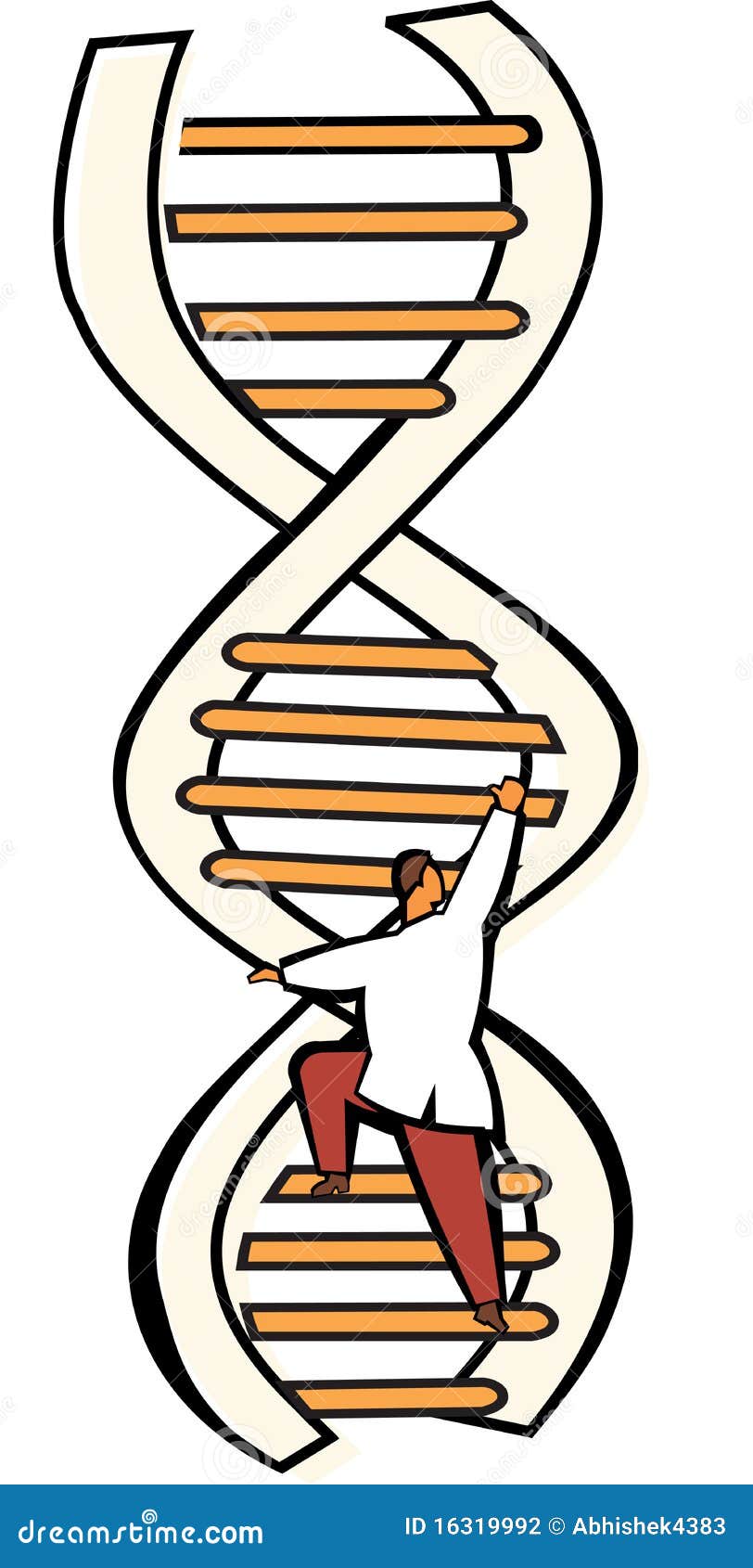 Dna Ladder Royalty-Free Stock Image | CartoonDealer.com #16319992