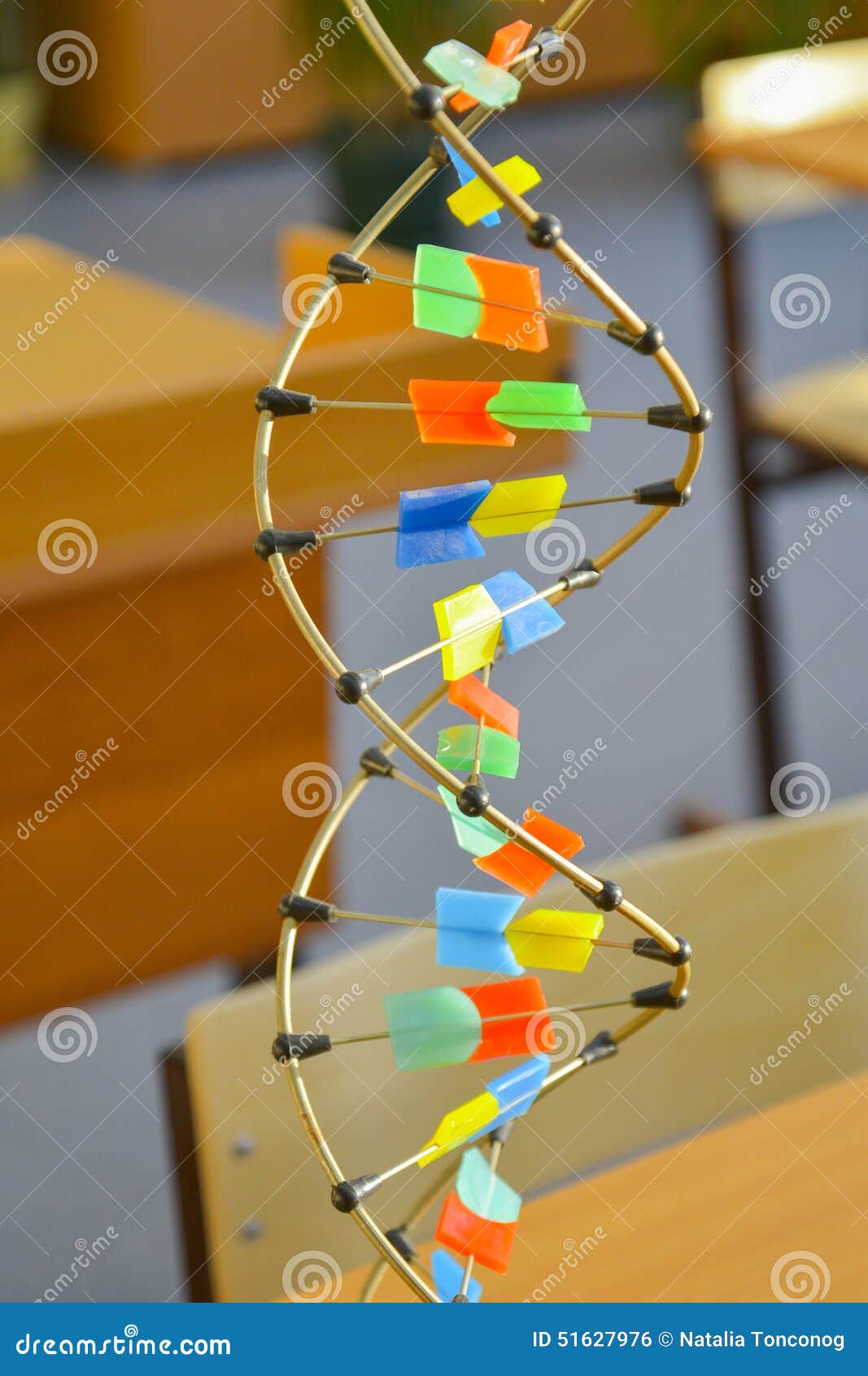 DNA layout stock photo. Image of medicine, space, medical - 51627976