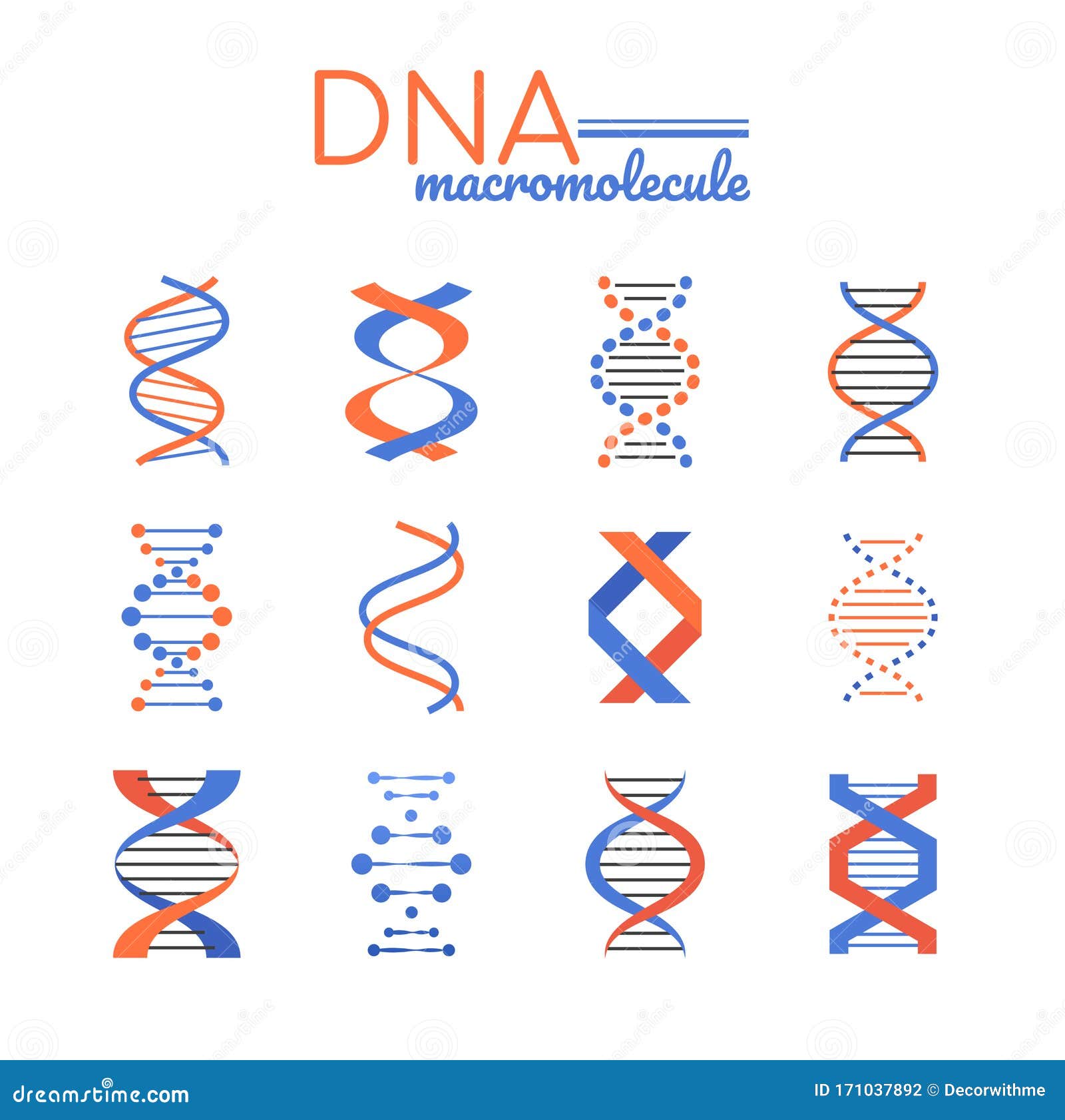 DNA Macromolecule - Line Design Style Vector Elements Stock Vector ...