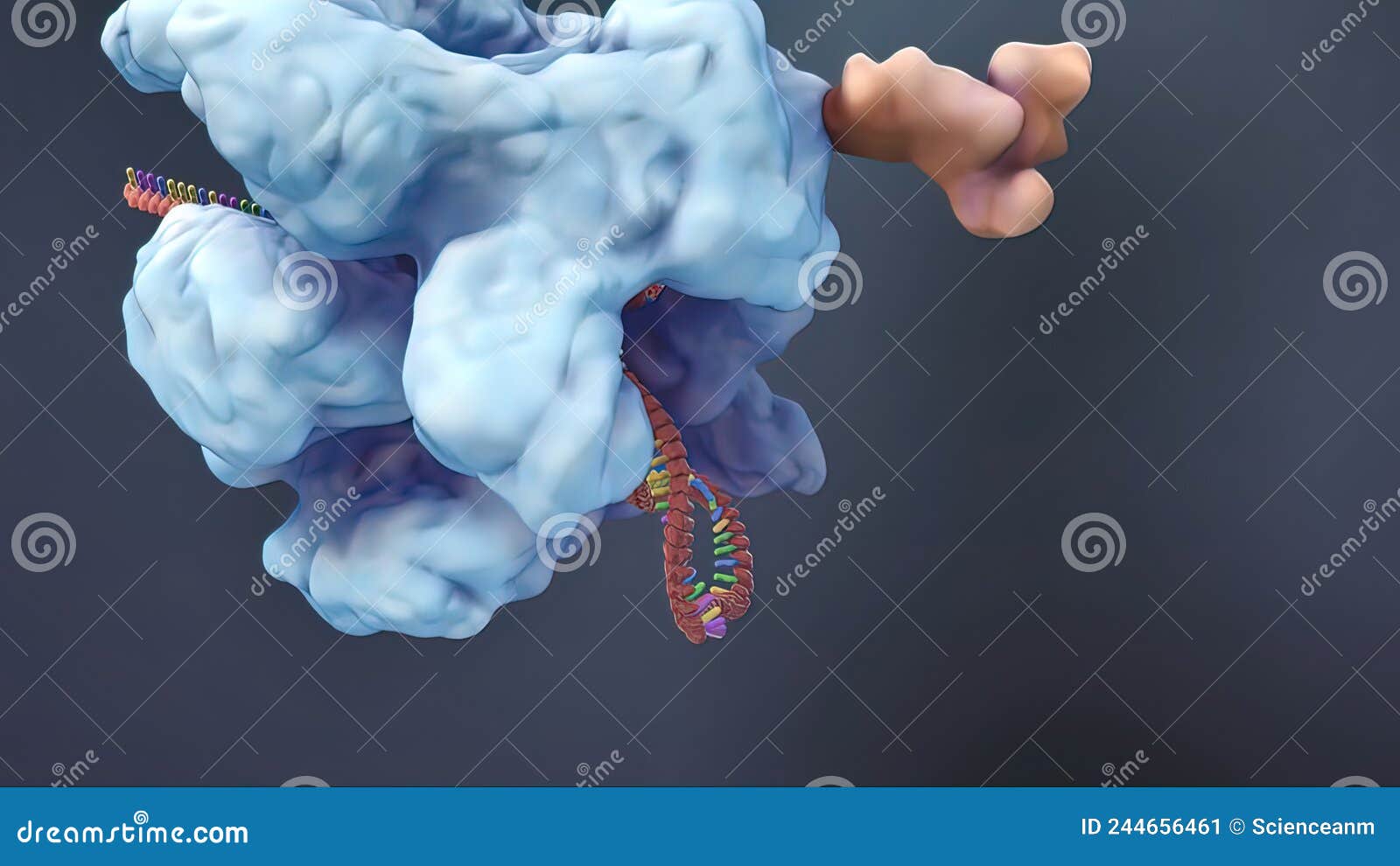 The Genetic Structure of 3D Animated DNA Stock Illustration ...