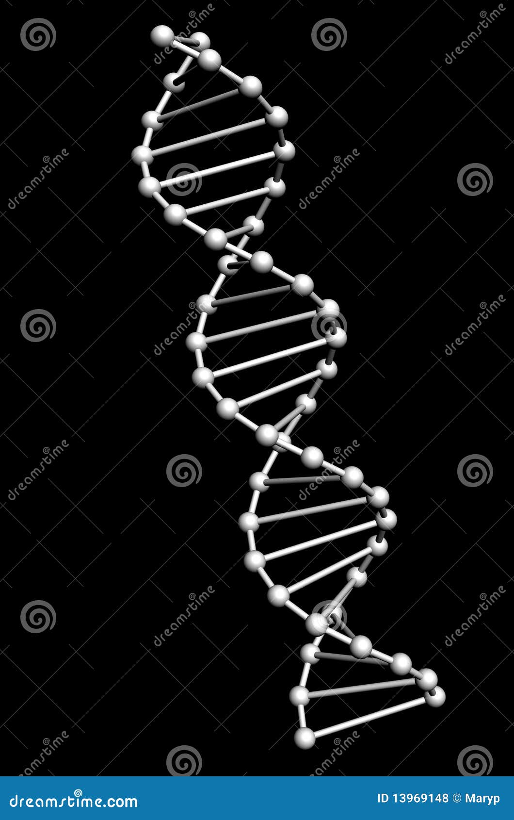 Dna model stock illustration. Illustration of acid, science - 13969148